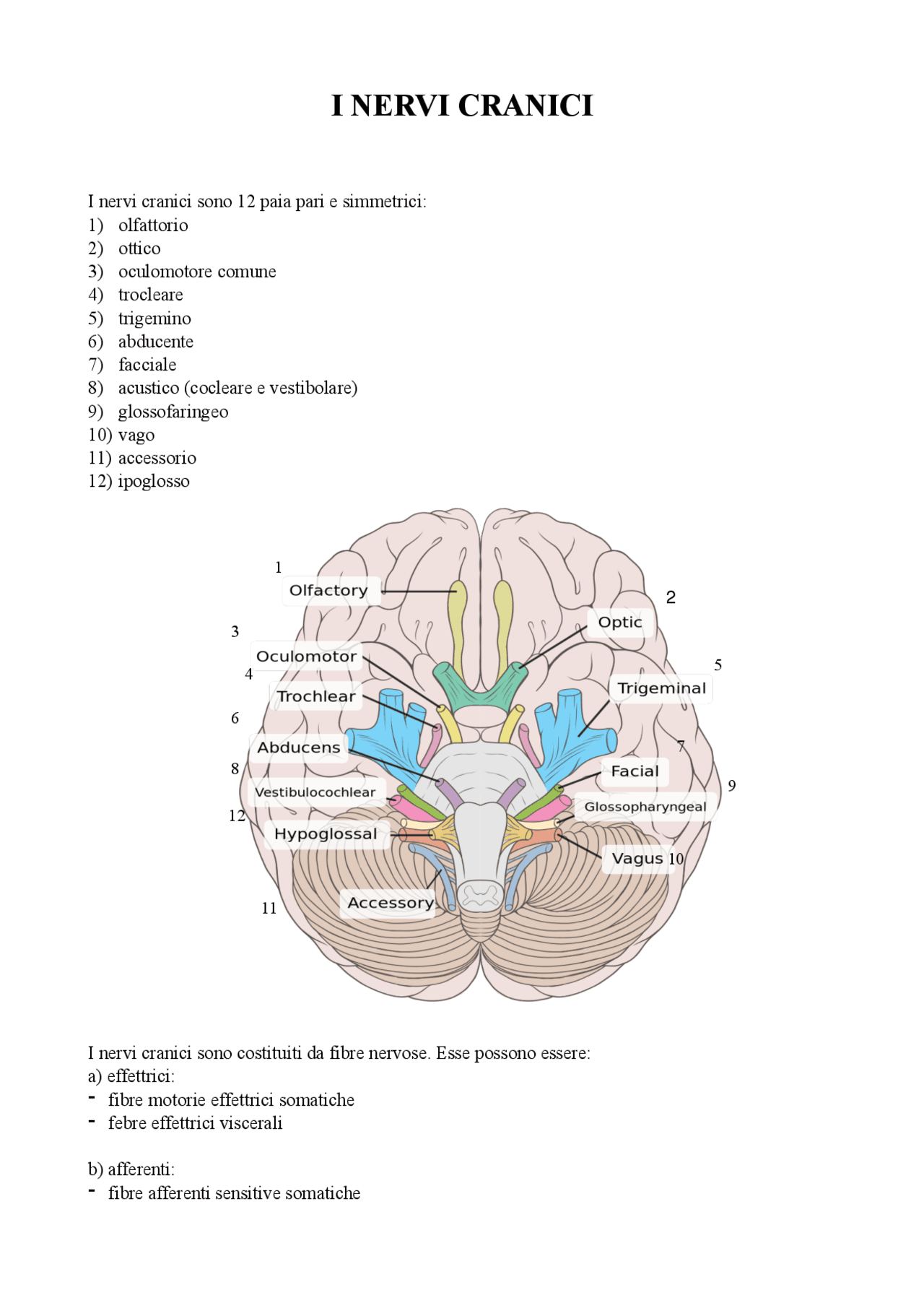 Appunti Lezioni Di Neurologia Cdl In Educazione Professionale