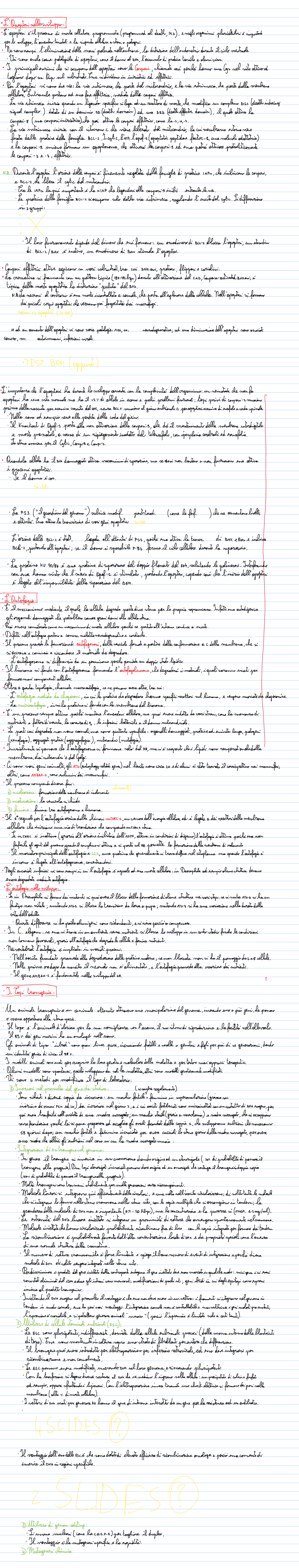 Dispense Di Biologia Docsity