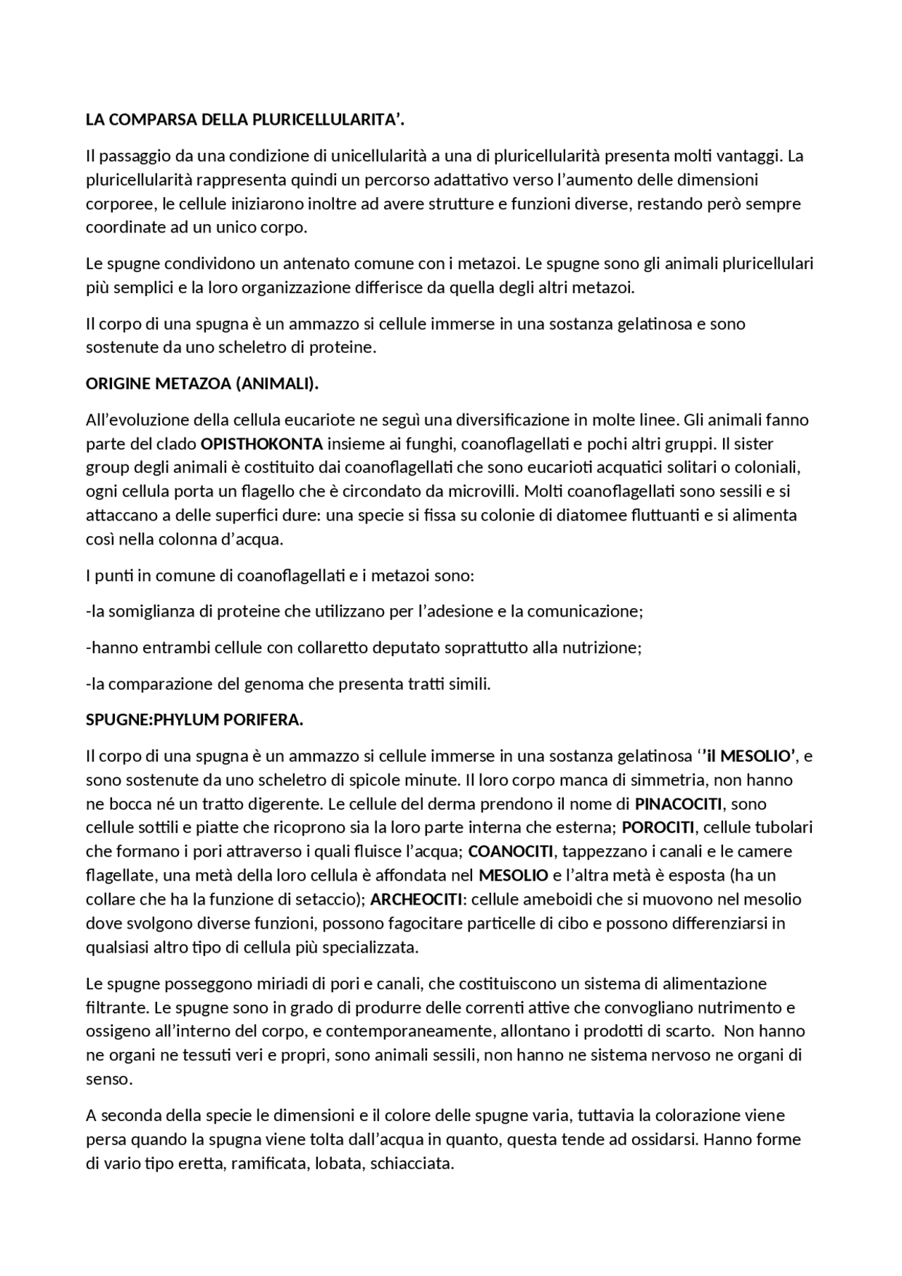 Le Spugne Struttura E Classificazione Docsity