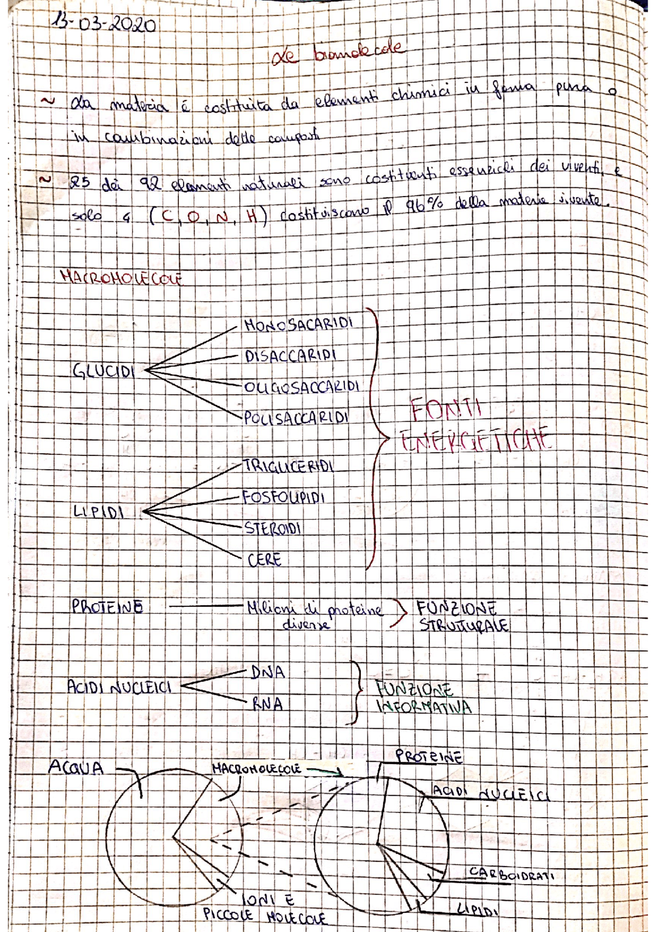 Biomolecole Glucidi Docsity