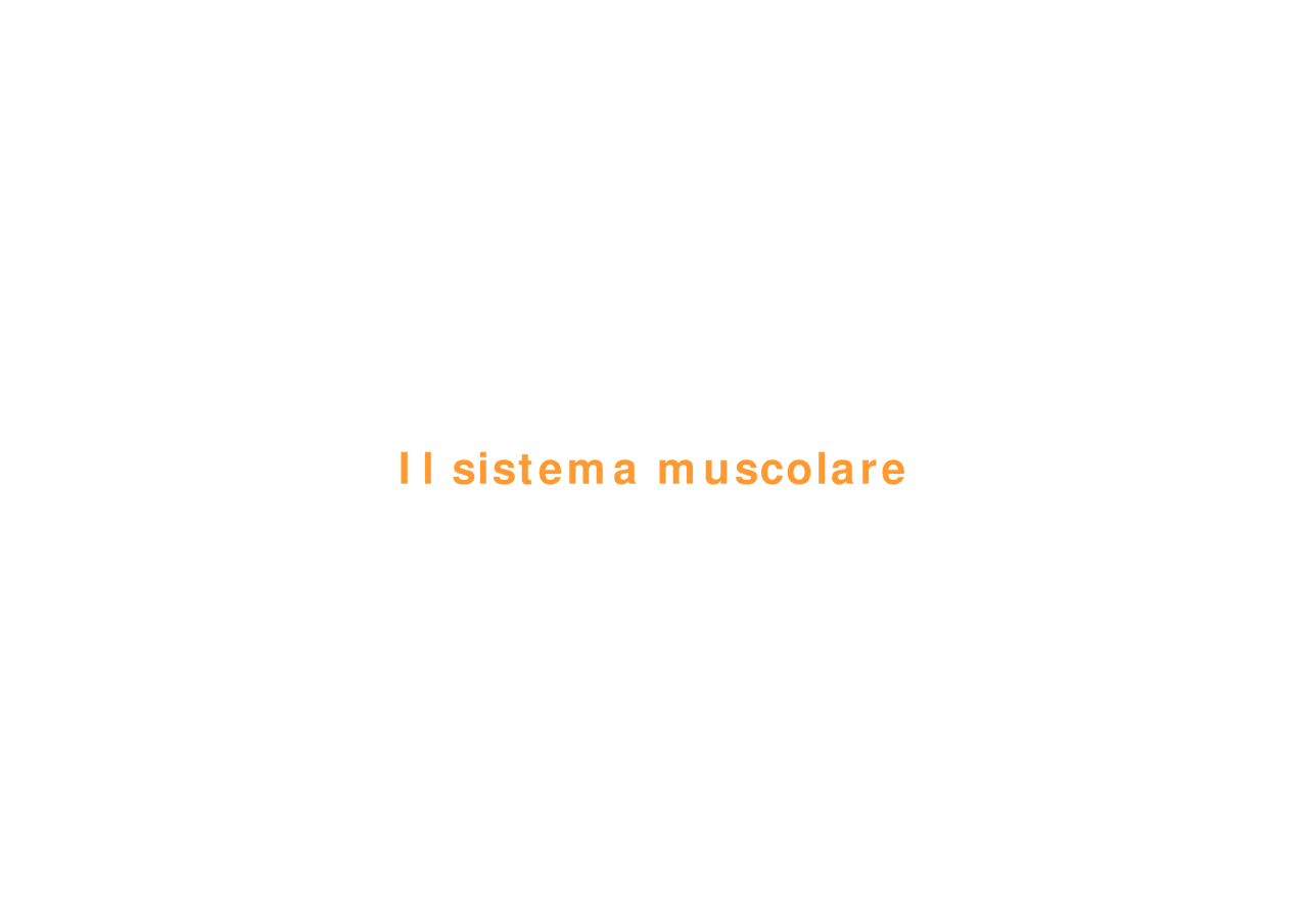 Il Sistema Muscolare Docsity