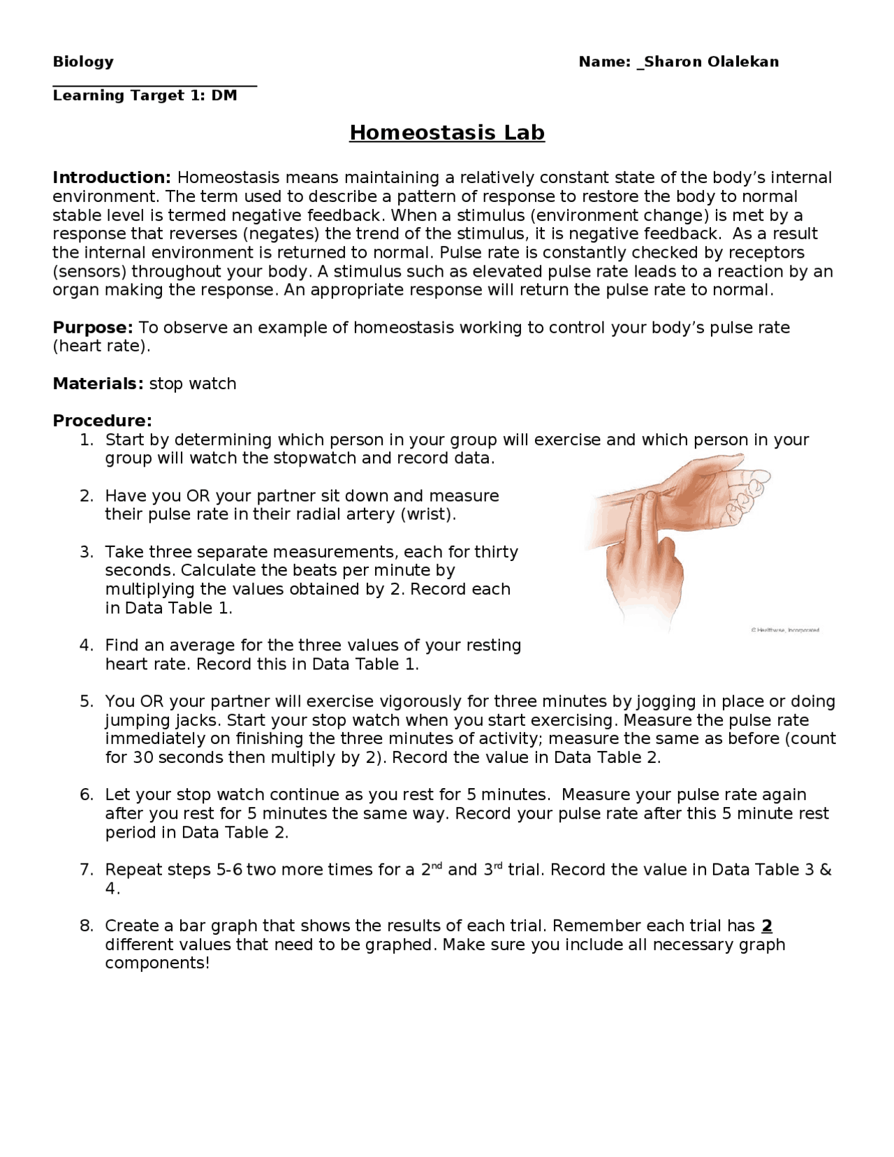 Practice Lab For The Lab That Has The Notes To Look At Docsity