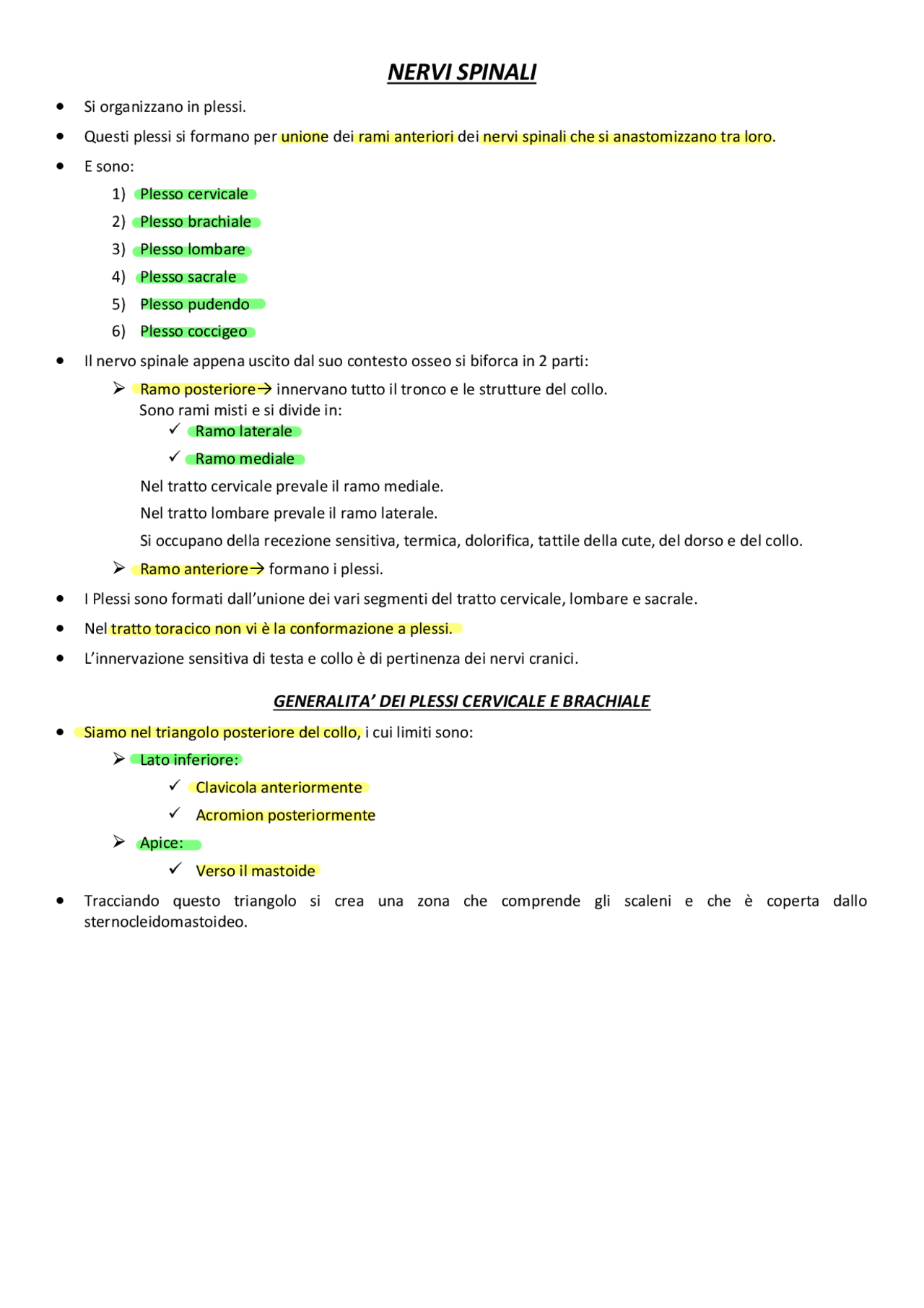 Nervi Spinali E Plessi Neuroanatomia Appunti Di Anatomia Iii Docsity