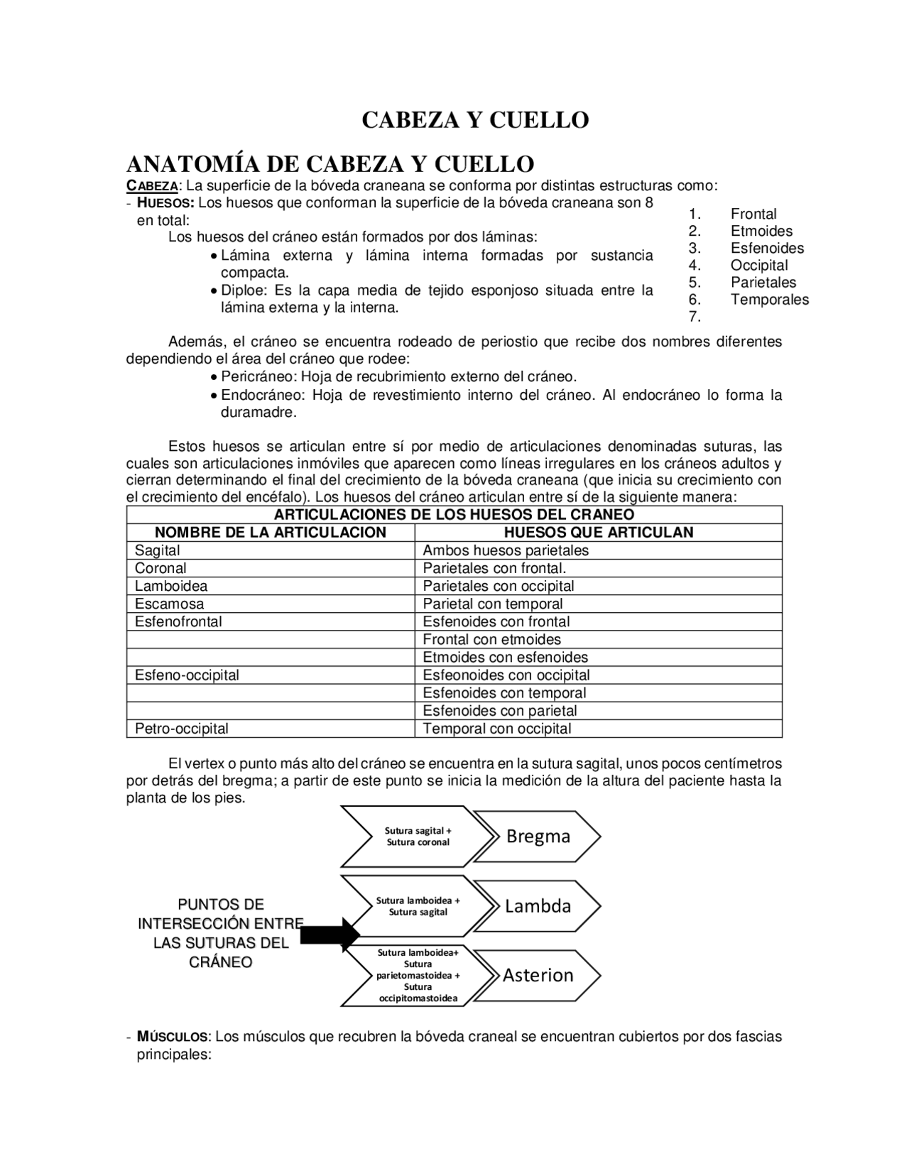 Anatomía Y Semiología De Cabeza Y Cuello Docsity