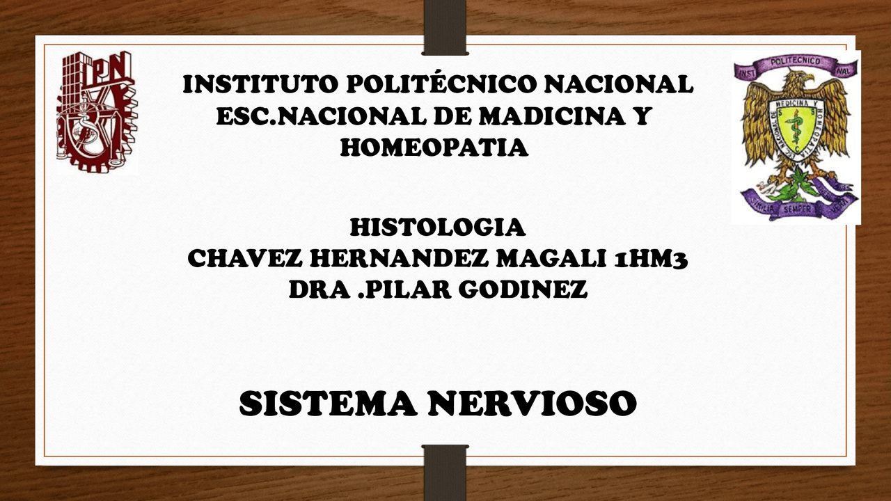 Tejido Conectivo Sistema Nervioso Diapositivas De Histología Docsity