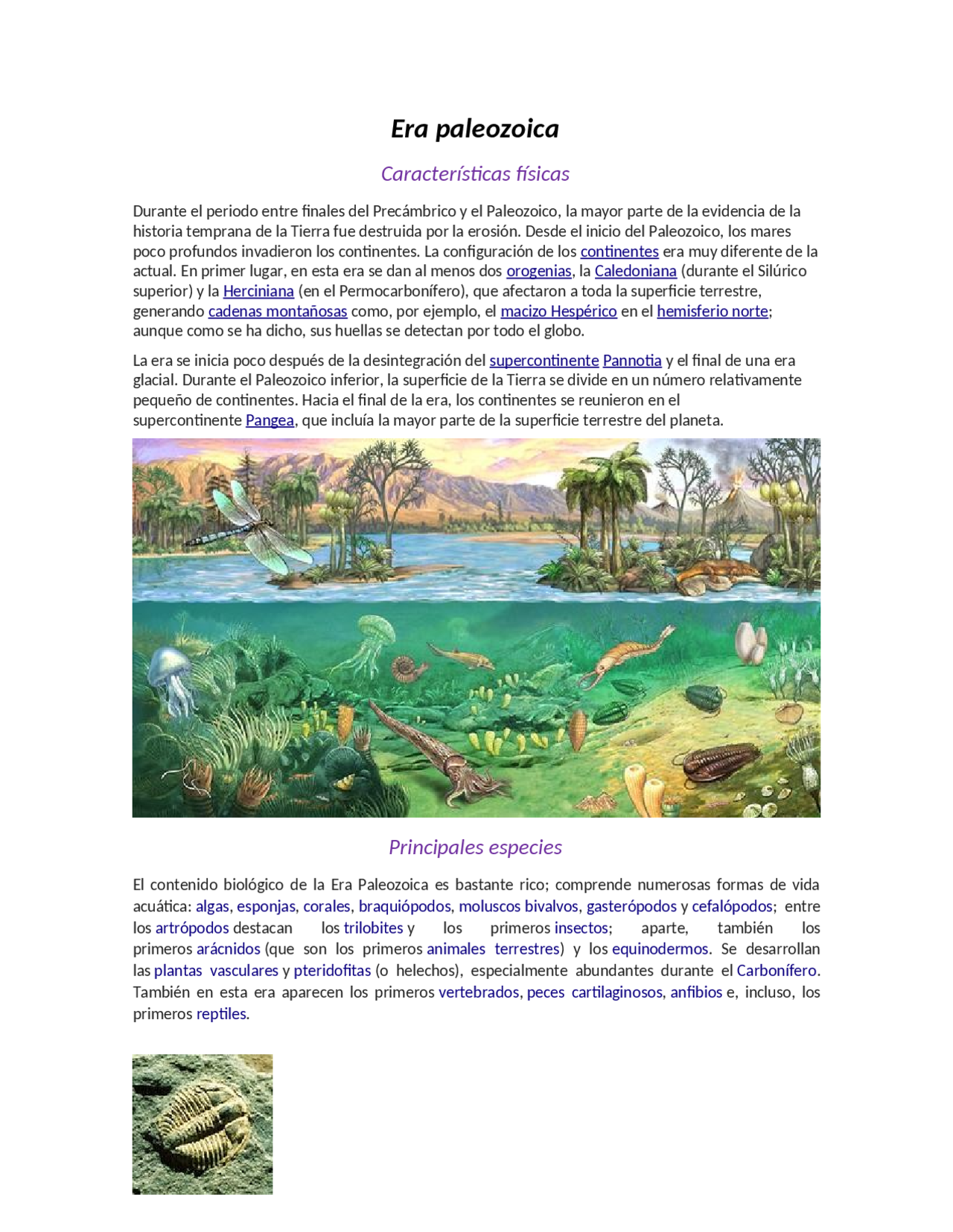 Superficie Terrestre Da Era Paleozoica