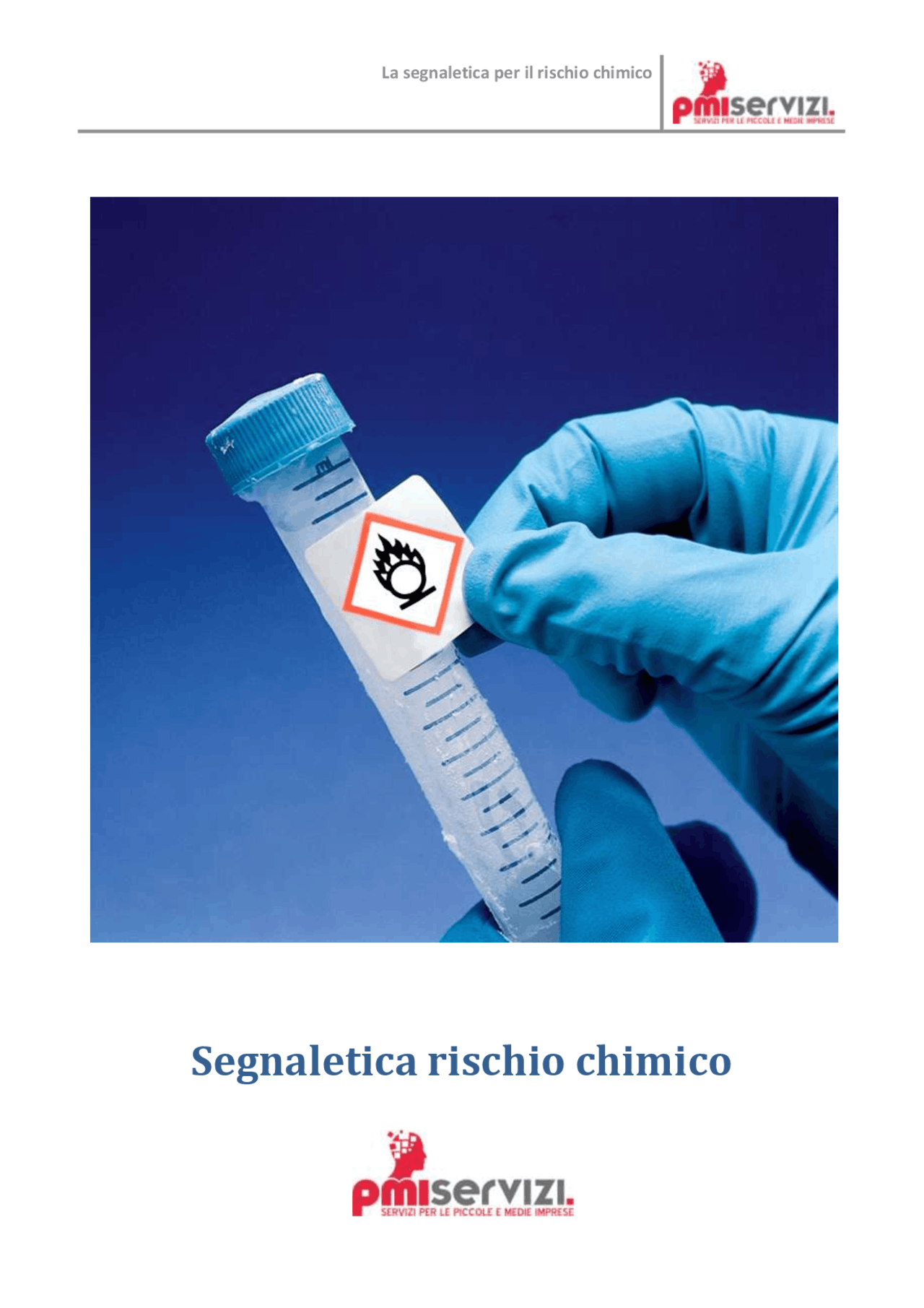 Simboli rischio chimico - Docsity