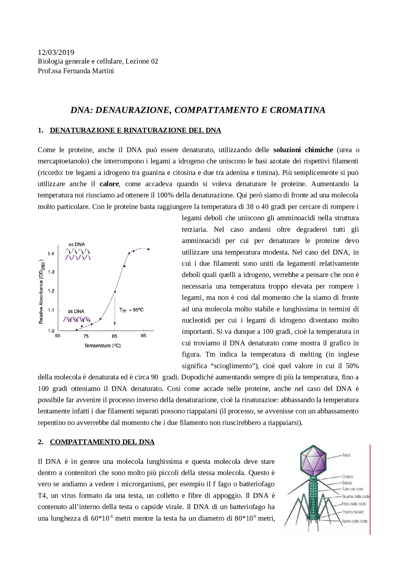 Cellula Eucariote e procuriate - Docsity