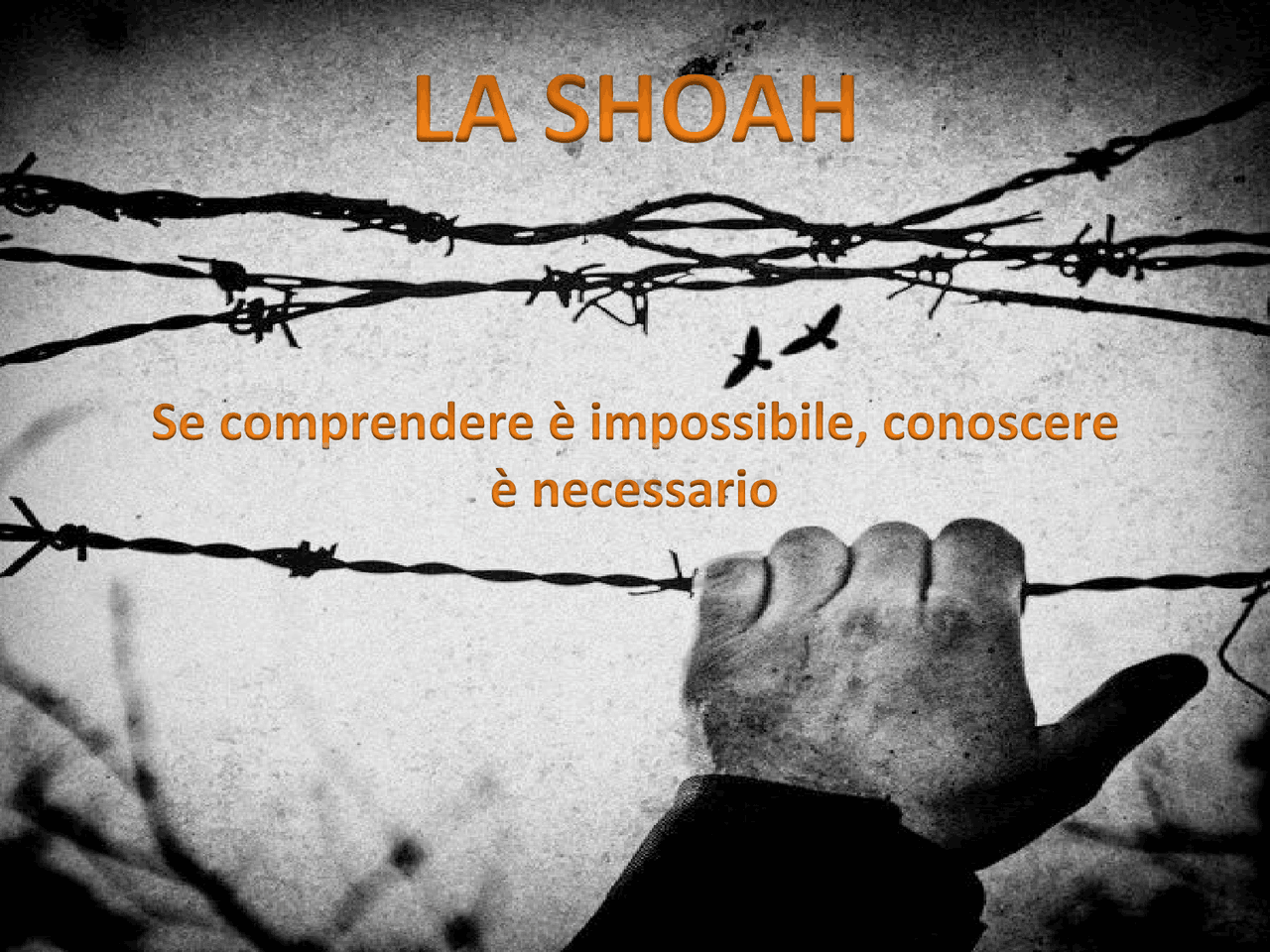 Ricerca sulla Shoah e sui campi di concentramento - Docsity