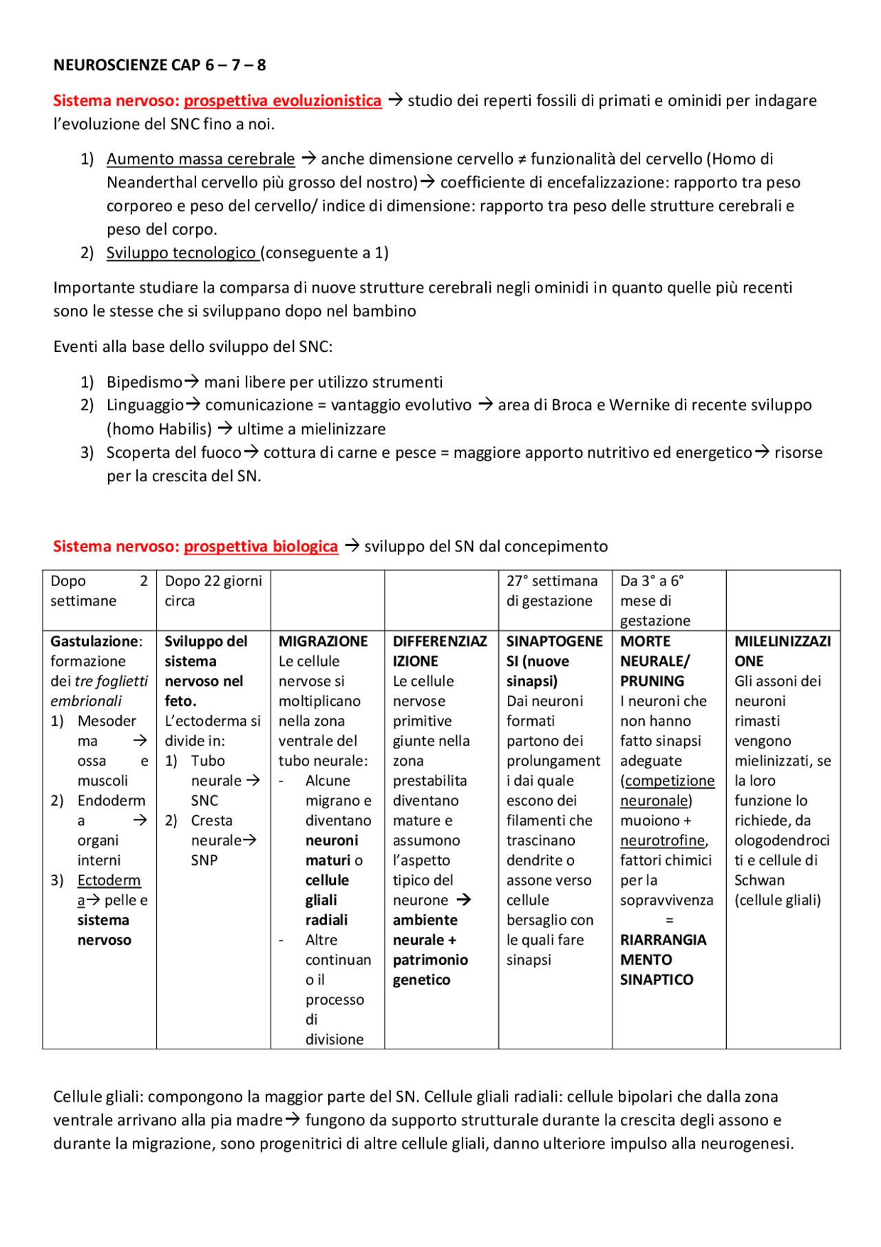 Schemi Di Neuroscienze Dellapprendimento Docsity