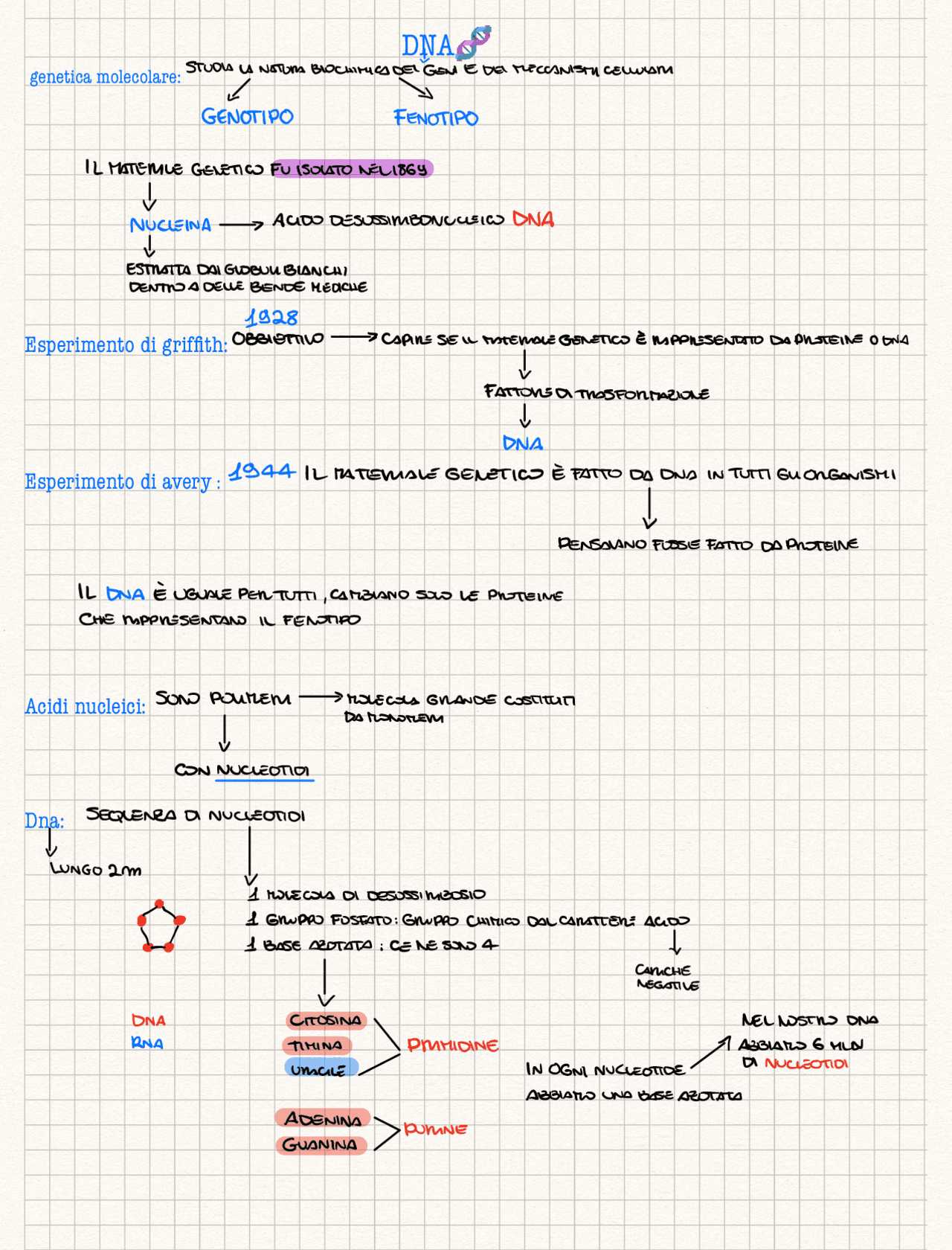 Appunti completi su DNA ed RNA - Docsity