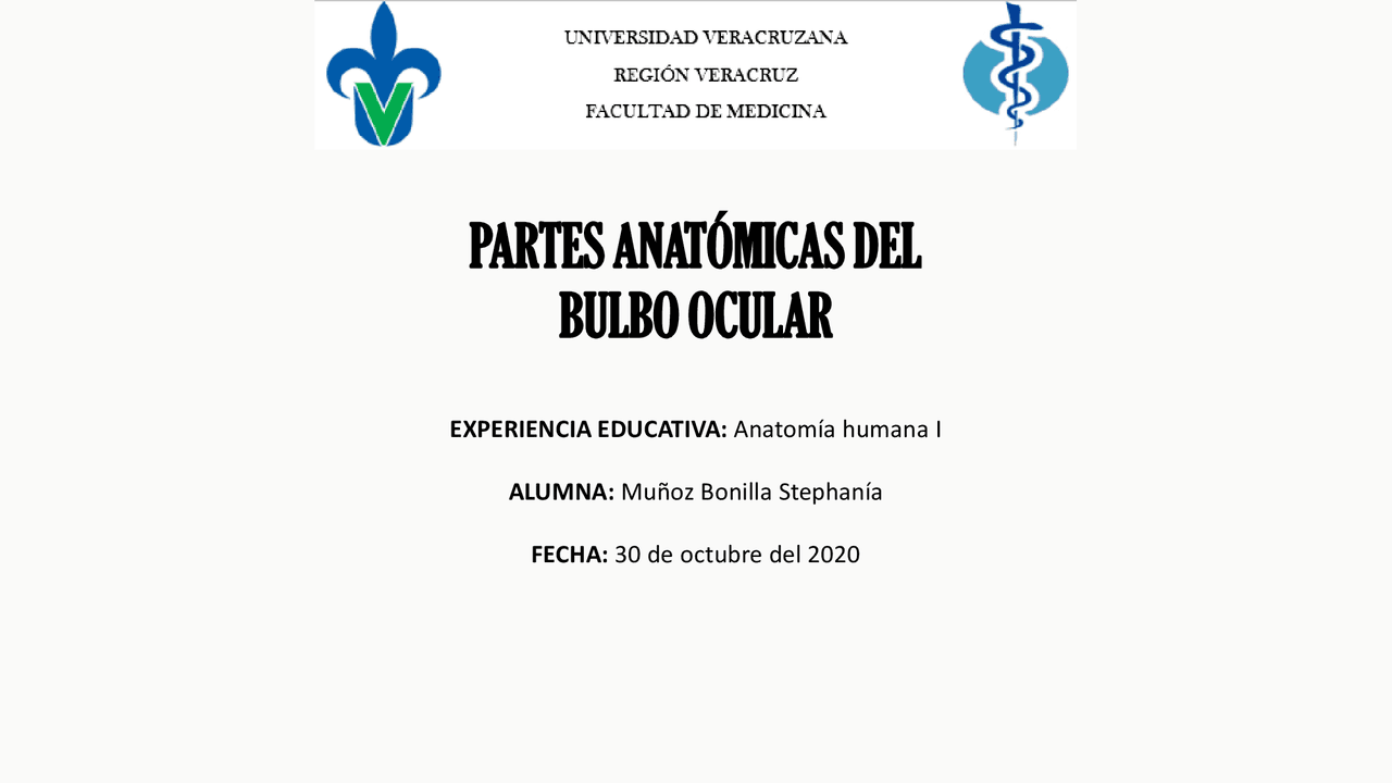 Partes anatómicas del bulbo ocular - Docsity