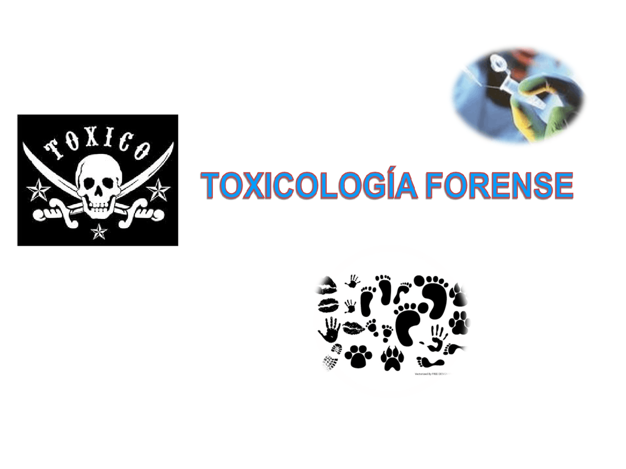 Toxicología Y Medicina Forense Docsity
