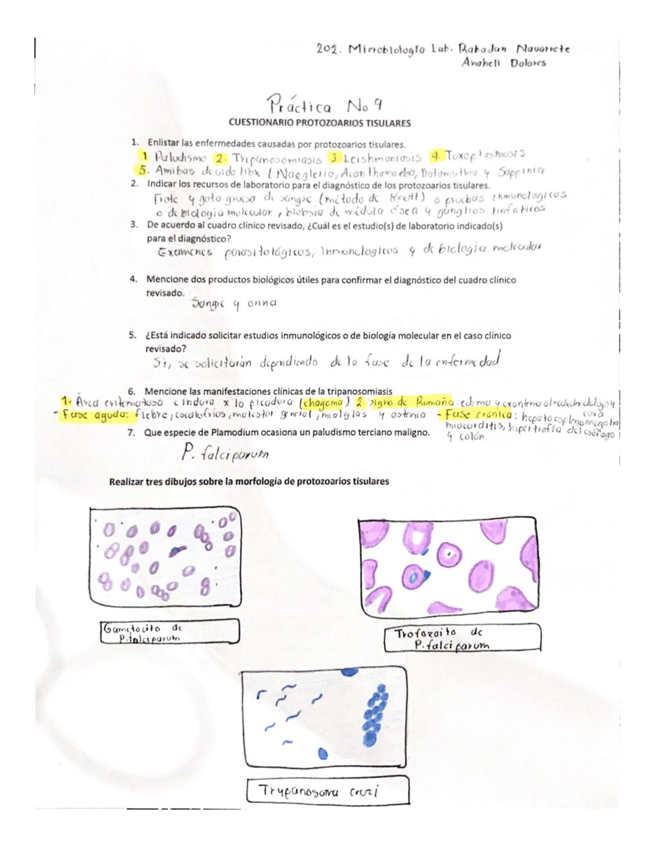 Microbiologia Apuntes Docsity