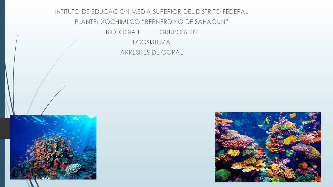 Ecosistema arrecifes de coral - Docsity
