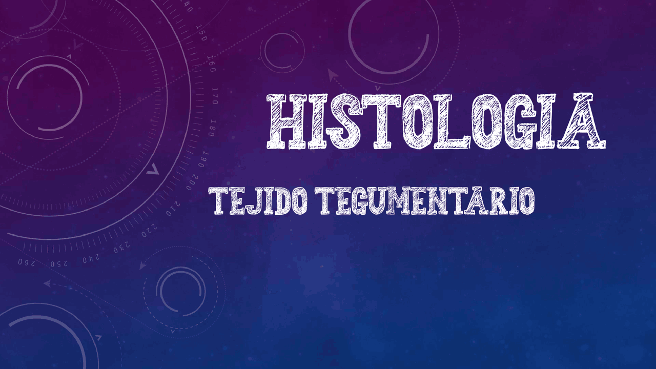 Tejido Tagumentario Dibujos Docsity