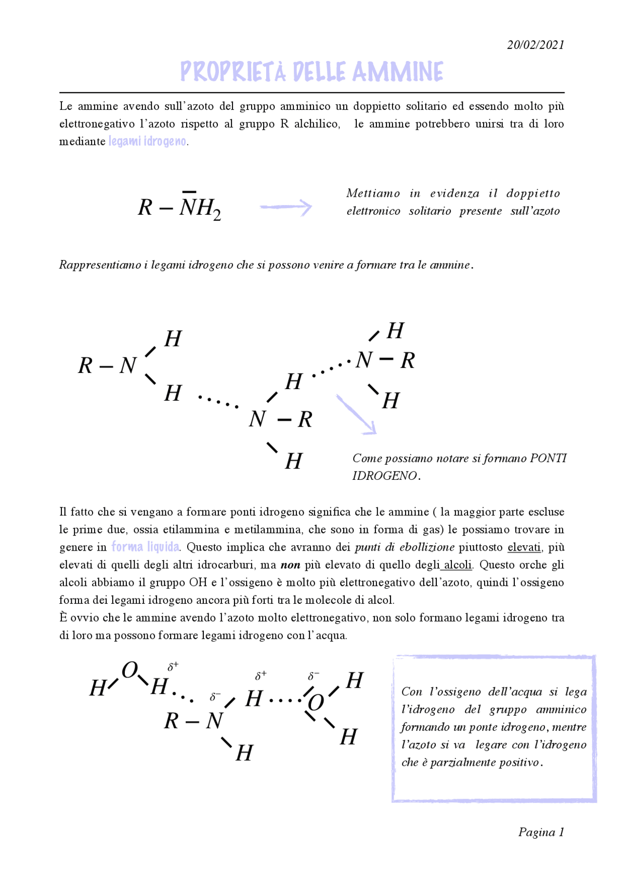 Proprietà e reazioni delle ammine - Docsity