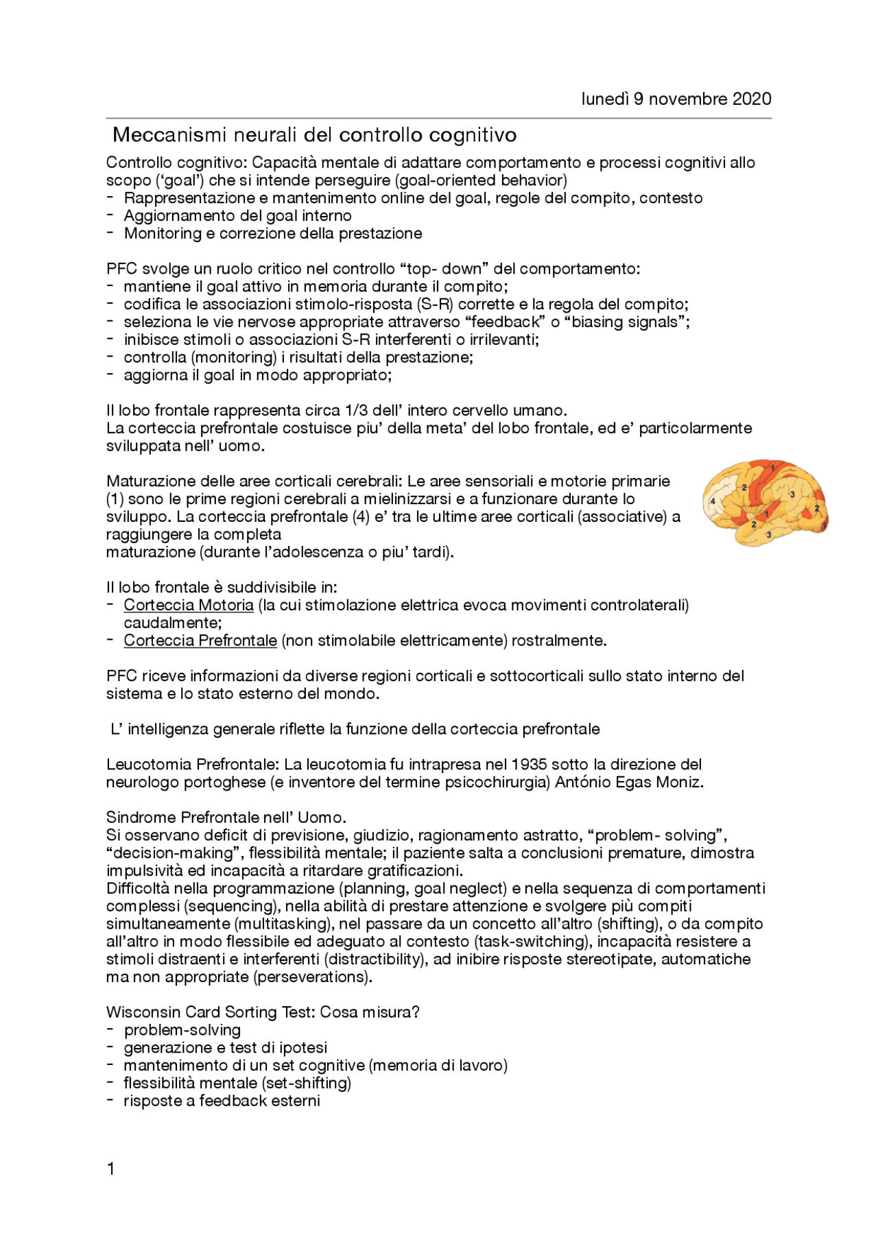 Controllo Cognitivo Appunti Lezioni Di Neuroscienze Docsity