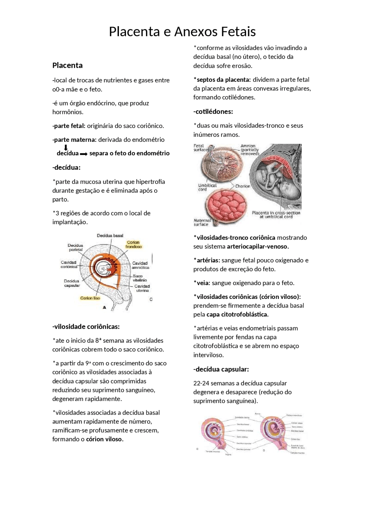 Placenta e anexos fetais | Resumos Embriologia | Docsity