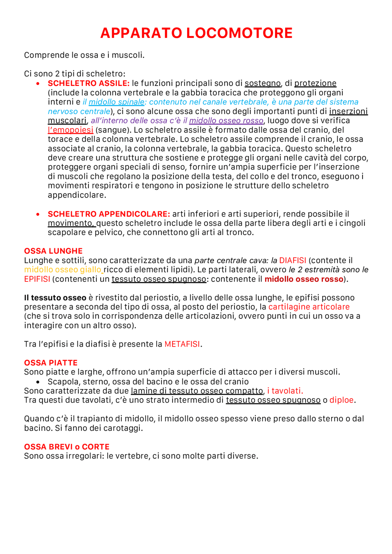 Apparato Locomotore Completo Docsity