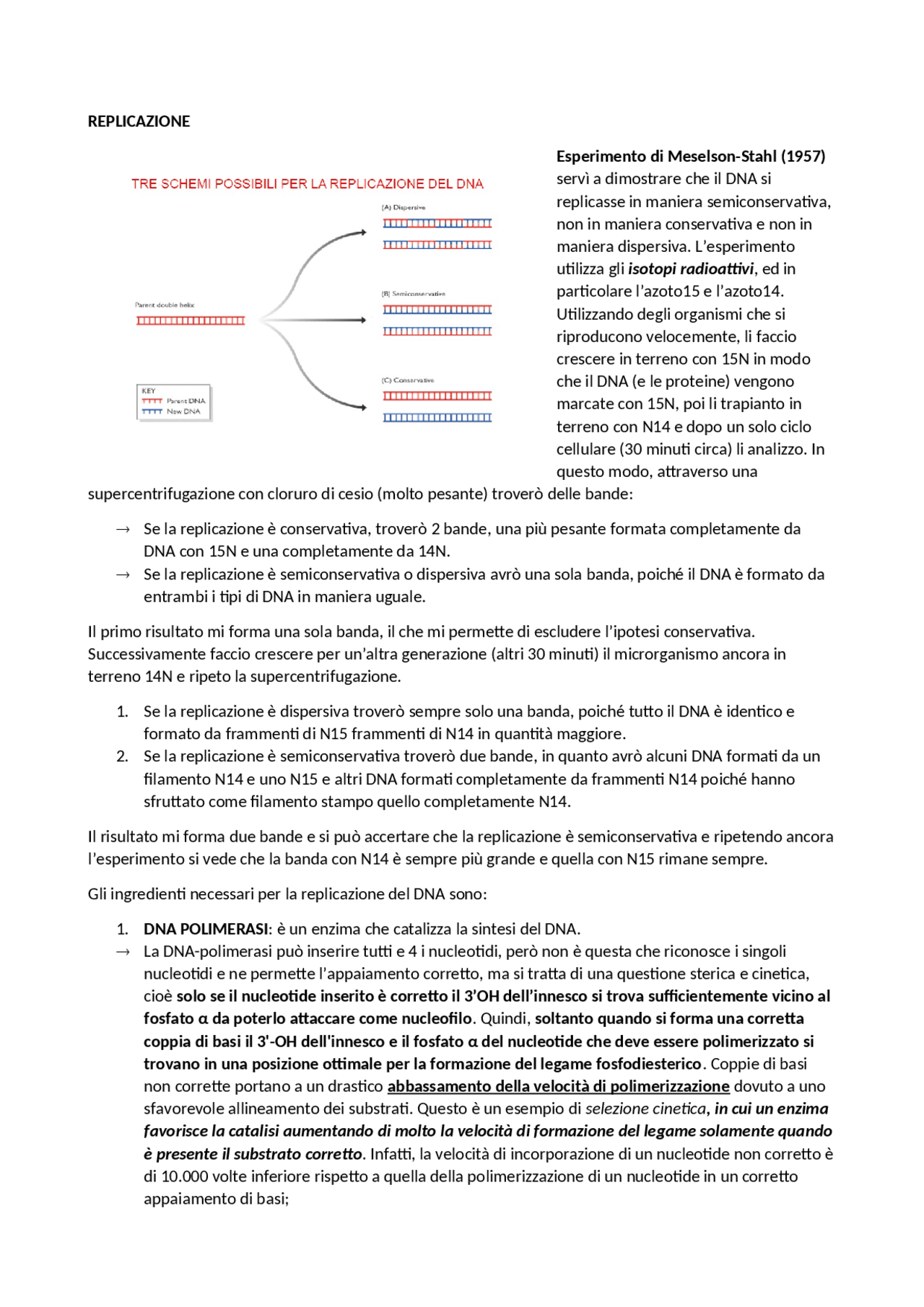 Replicazione Dna In Eucarioti E Procarioti Docsity