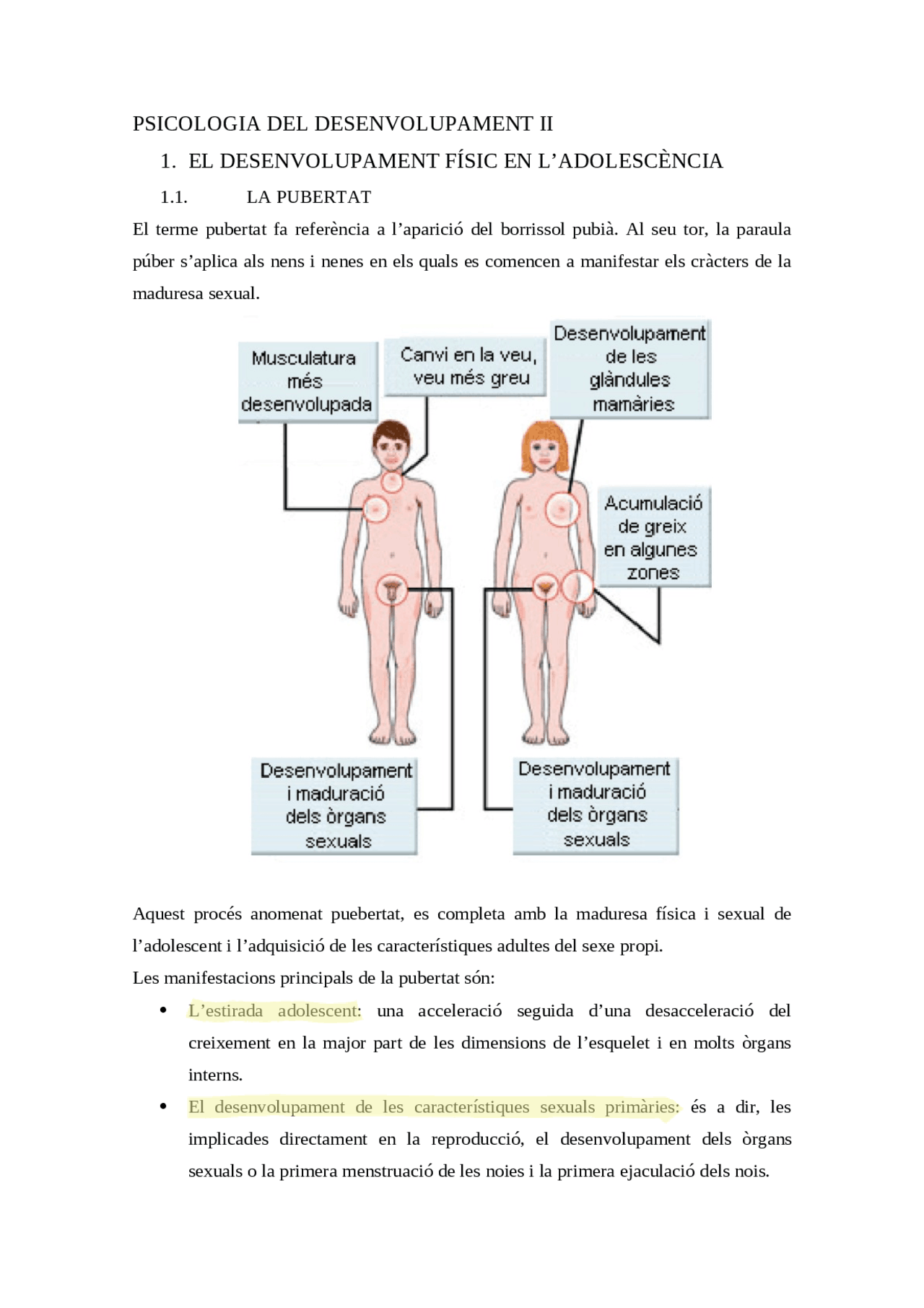 Psicologia Del Desenvolupament Ii Docsity