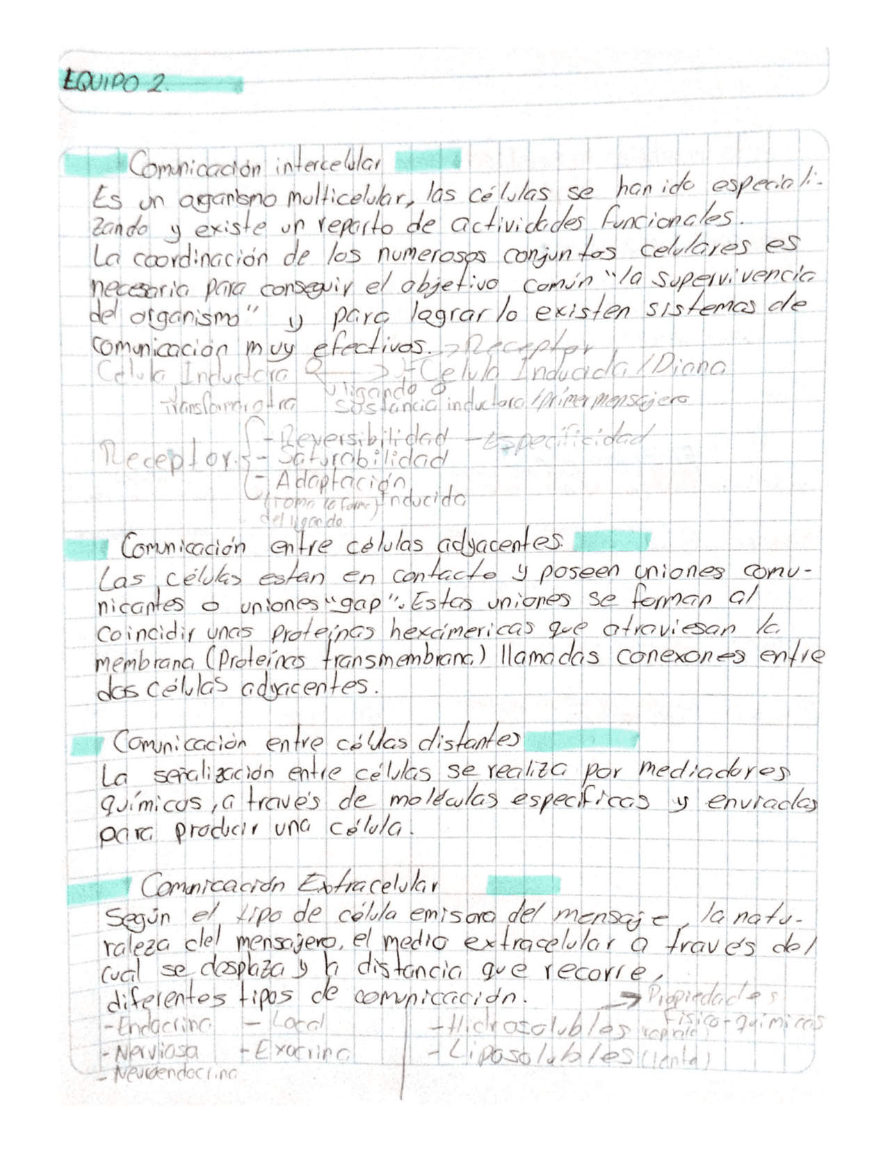 Apuntes Estructura Y Funcion A Nivel Celular Docsity
