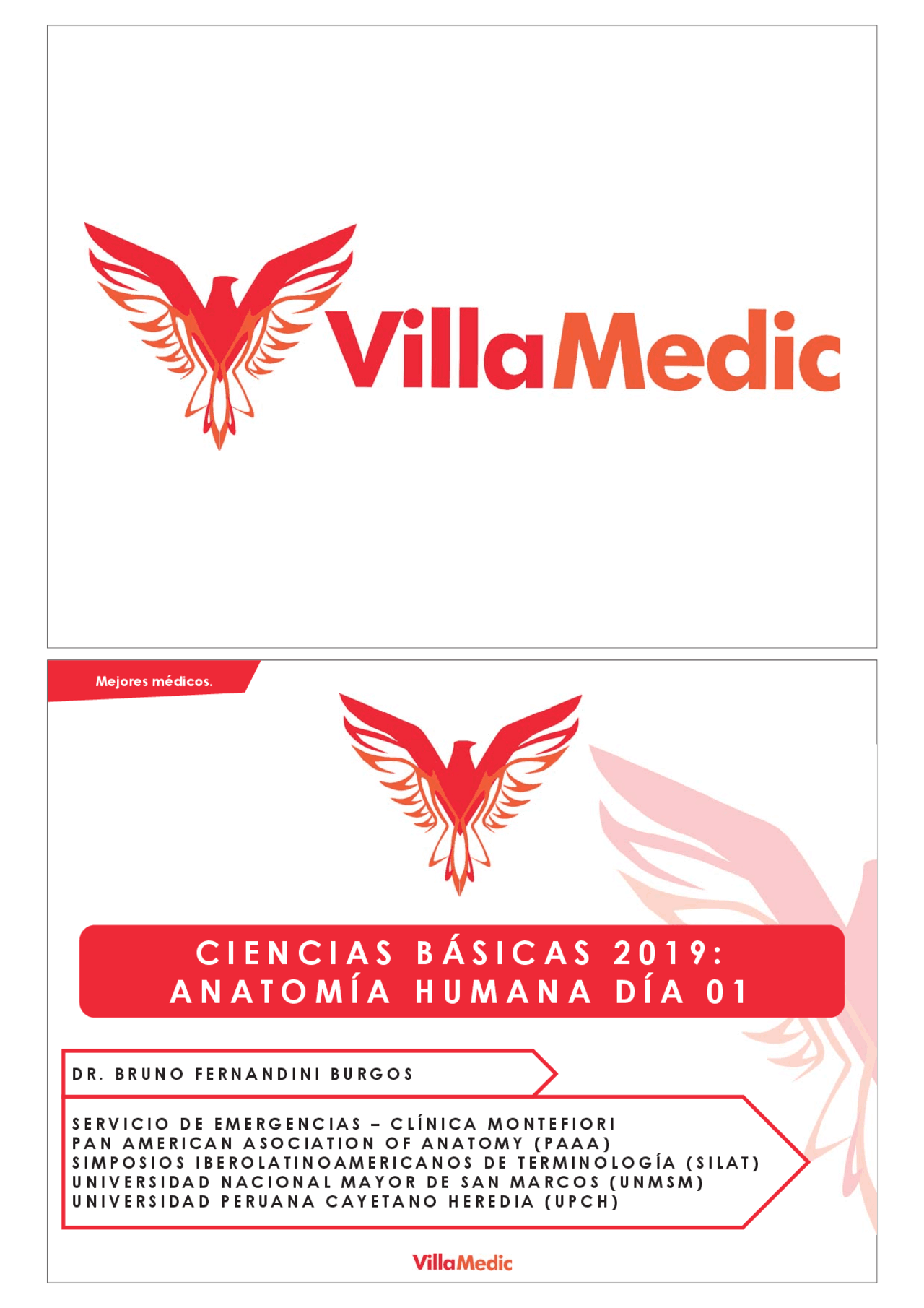 Anatomía Humana Básico 1 Resúmenes De Anatomía Docsity
