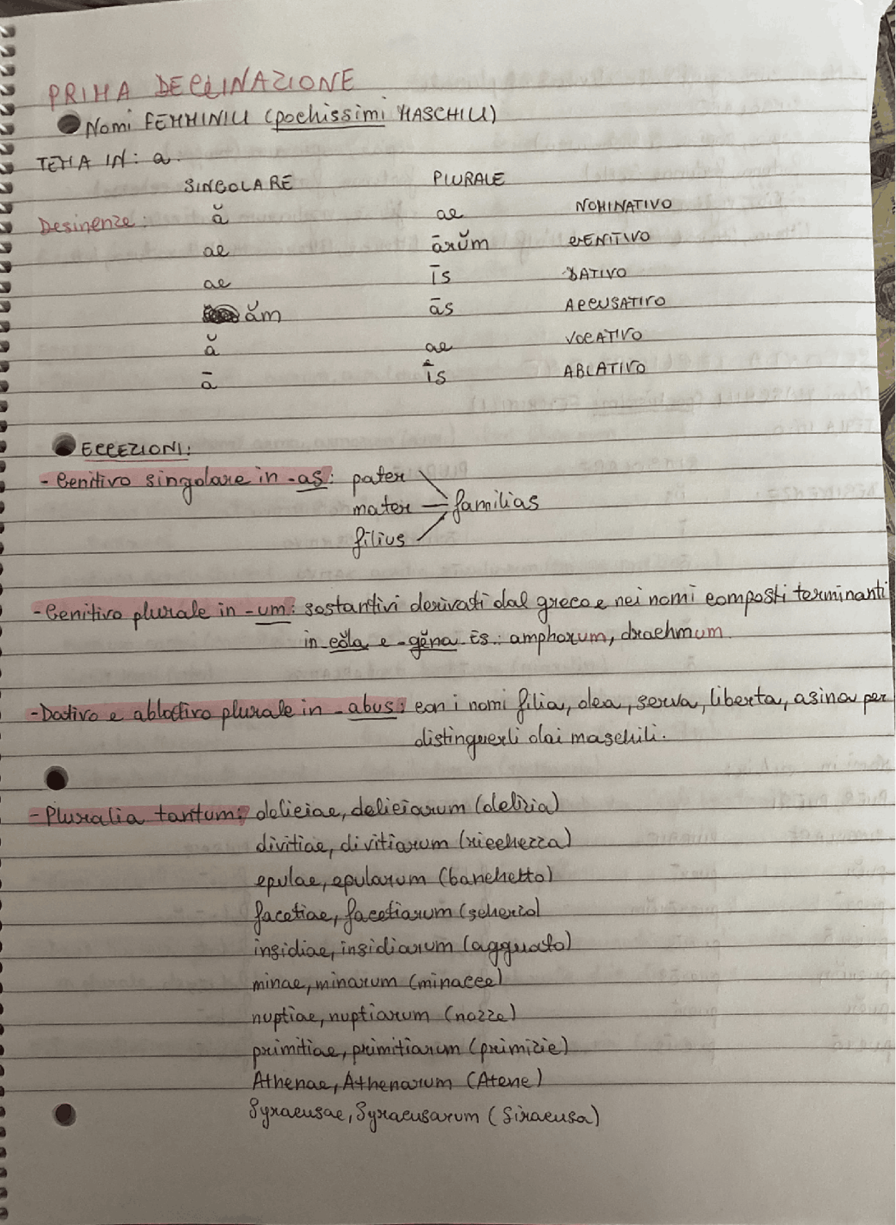 Schema Grammatica Latina Docsity