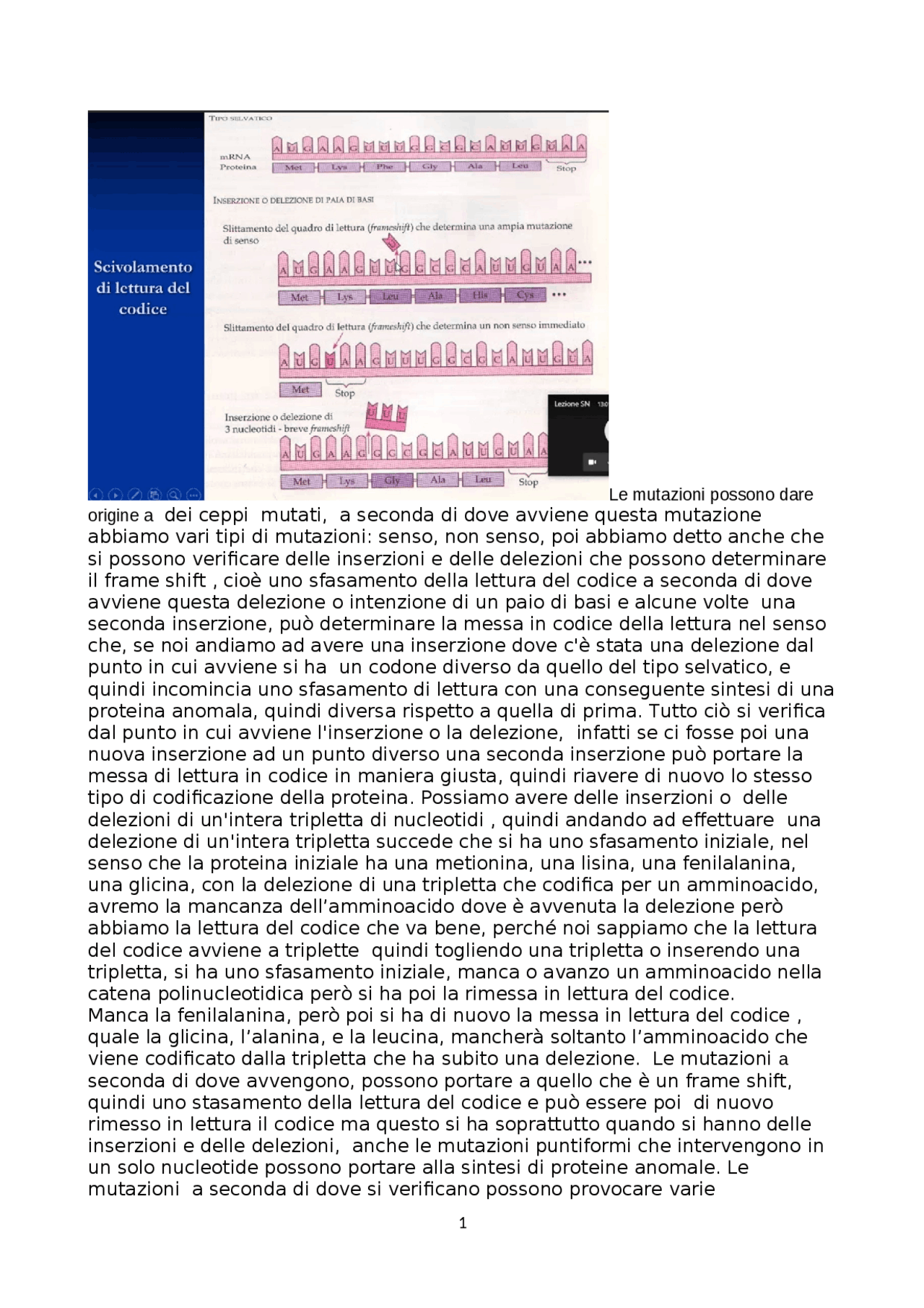 Mutazioni geniche puntiformi | Appunti di Microbiologia - Docsity