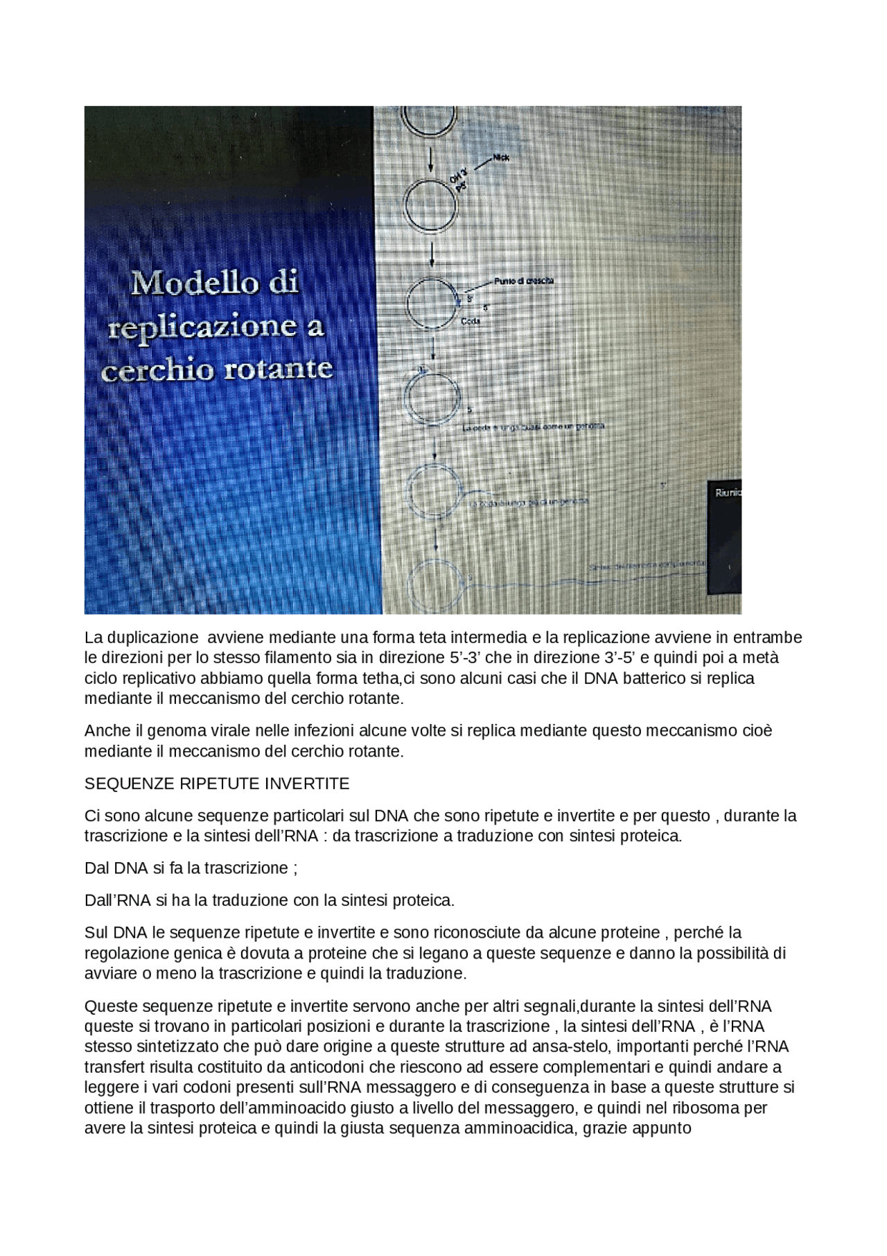 Replicazione e trascrizione - Docsity