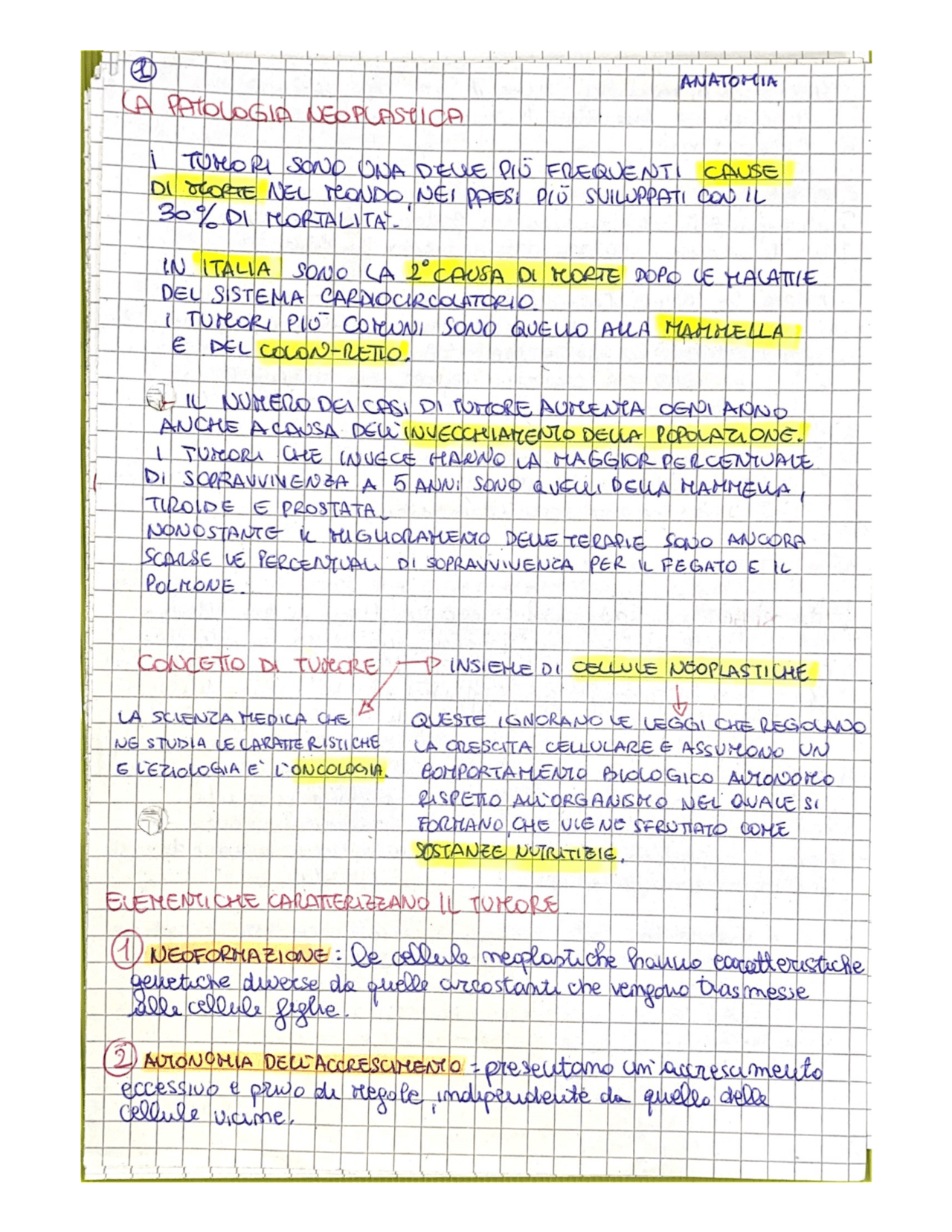 I Tumori Anatomia Scritto A Mano Docsity