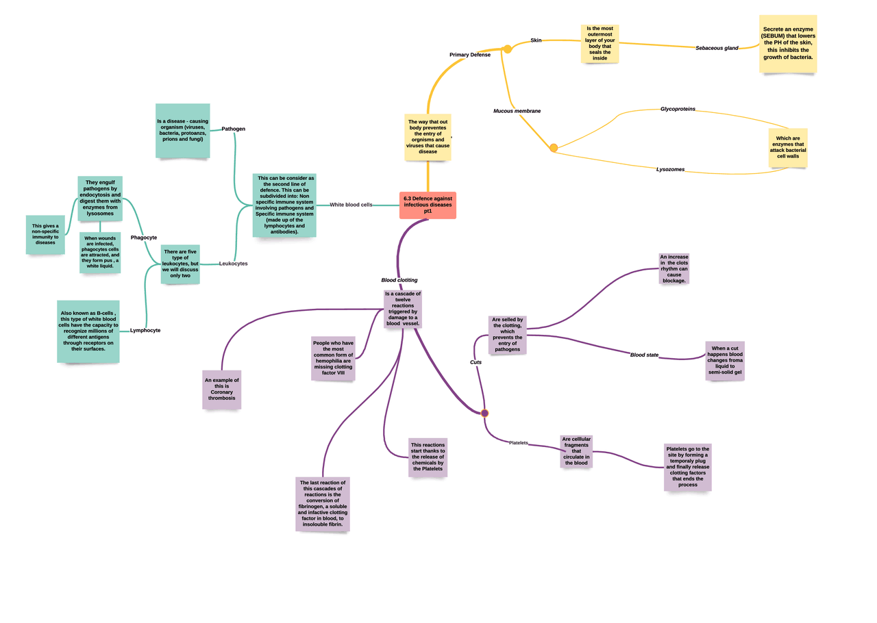 Defensas contra las infecciones | Apuntes de Biología | Docsity