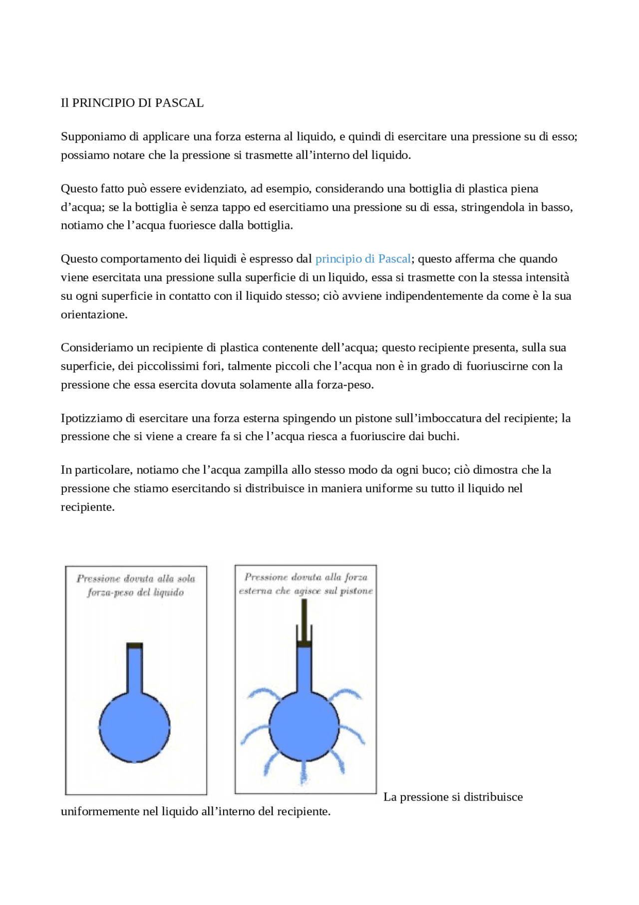 Il PRINCIPIO DI PASCAL - Docsity