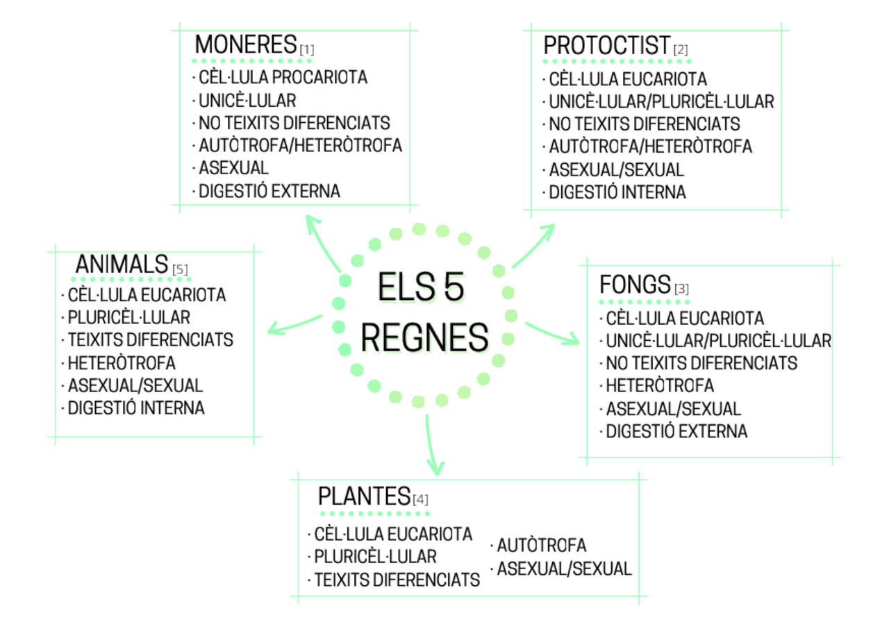 Biologia: Els 5 regnes - Docsity