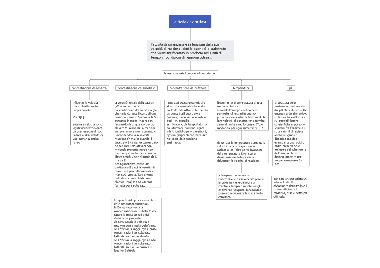 Enzimi E Attività Enzimatica Docsity