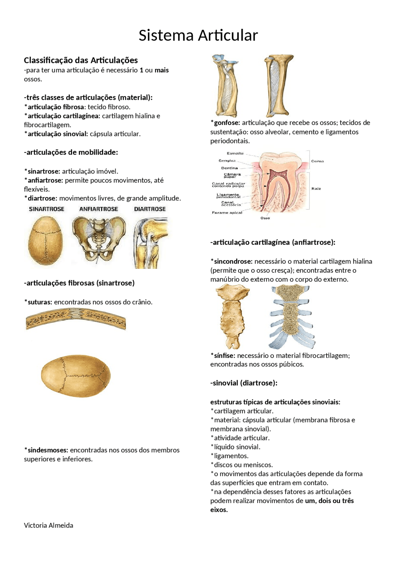 Resumo De Sistema Articular Docsity