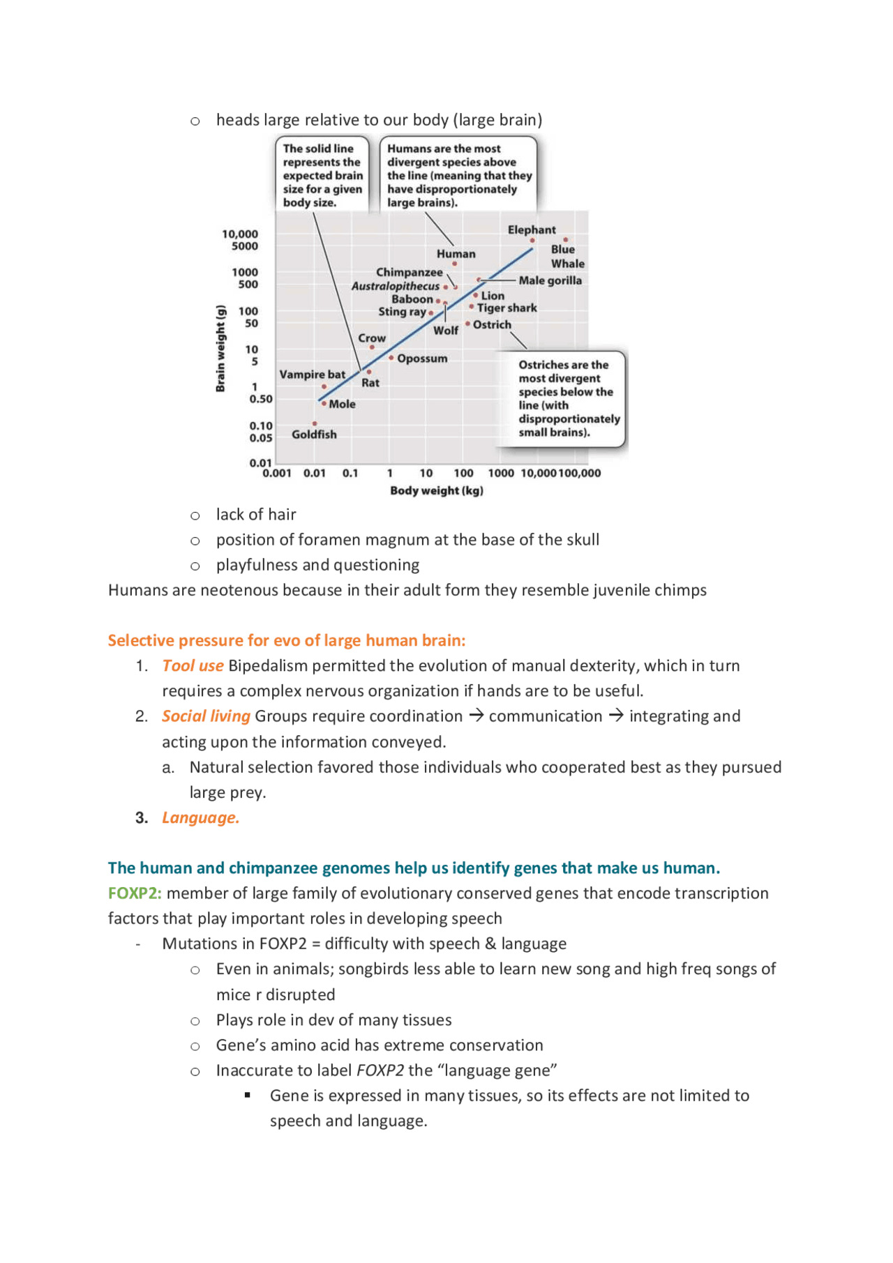 biology notes for year 1 | Lecture notes Biology | Docsity