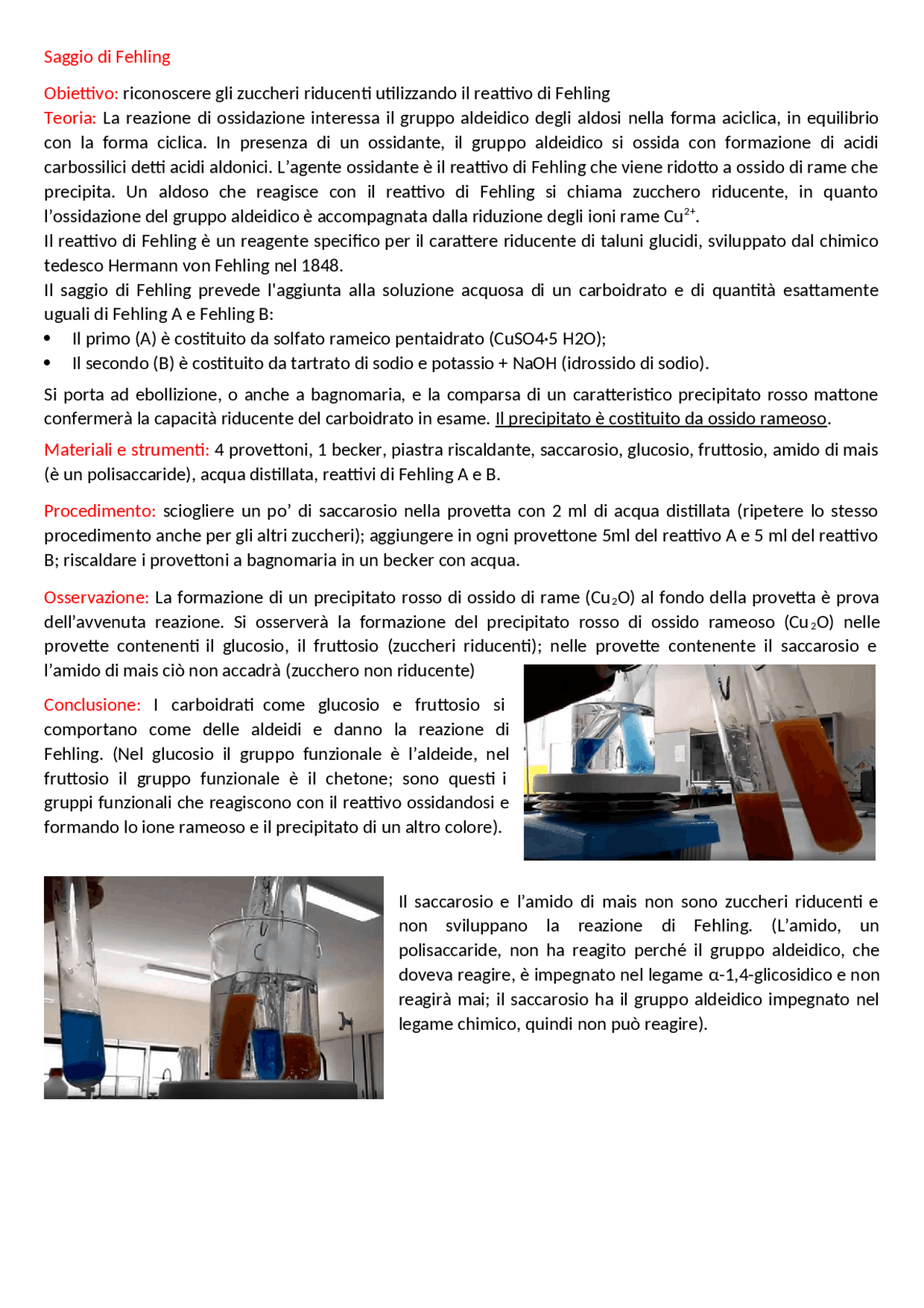 Saggio Di Fehling Relazione Dellesperimento In Laboratorio Guide