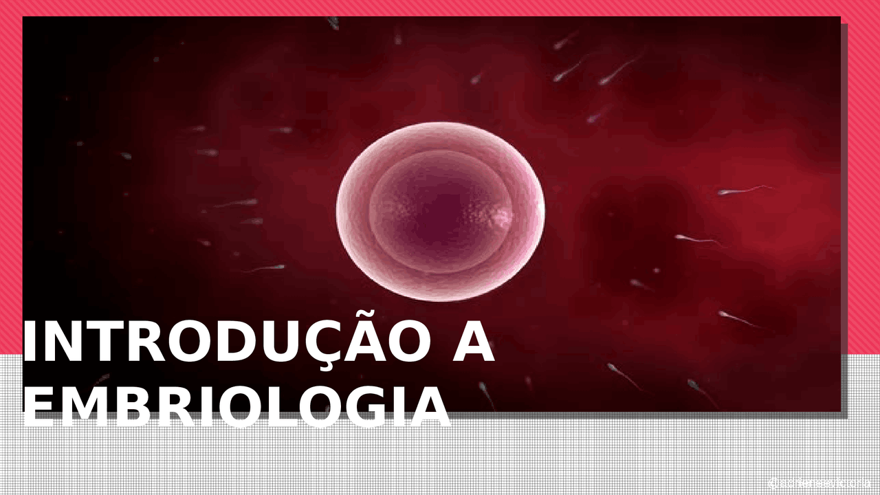 Introdução à Embriologia: Desenvolvimento Humano e Suas Etapas ...