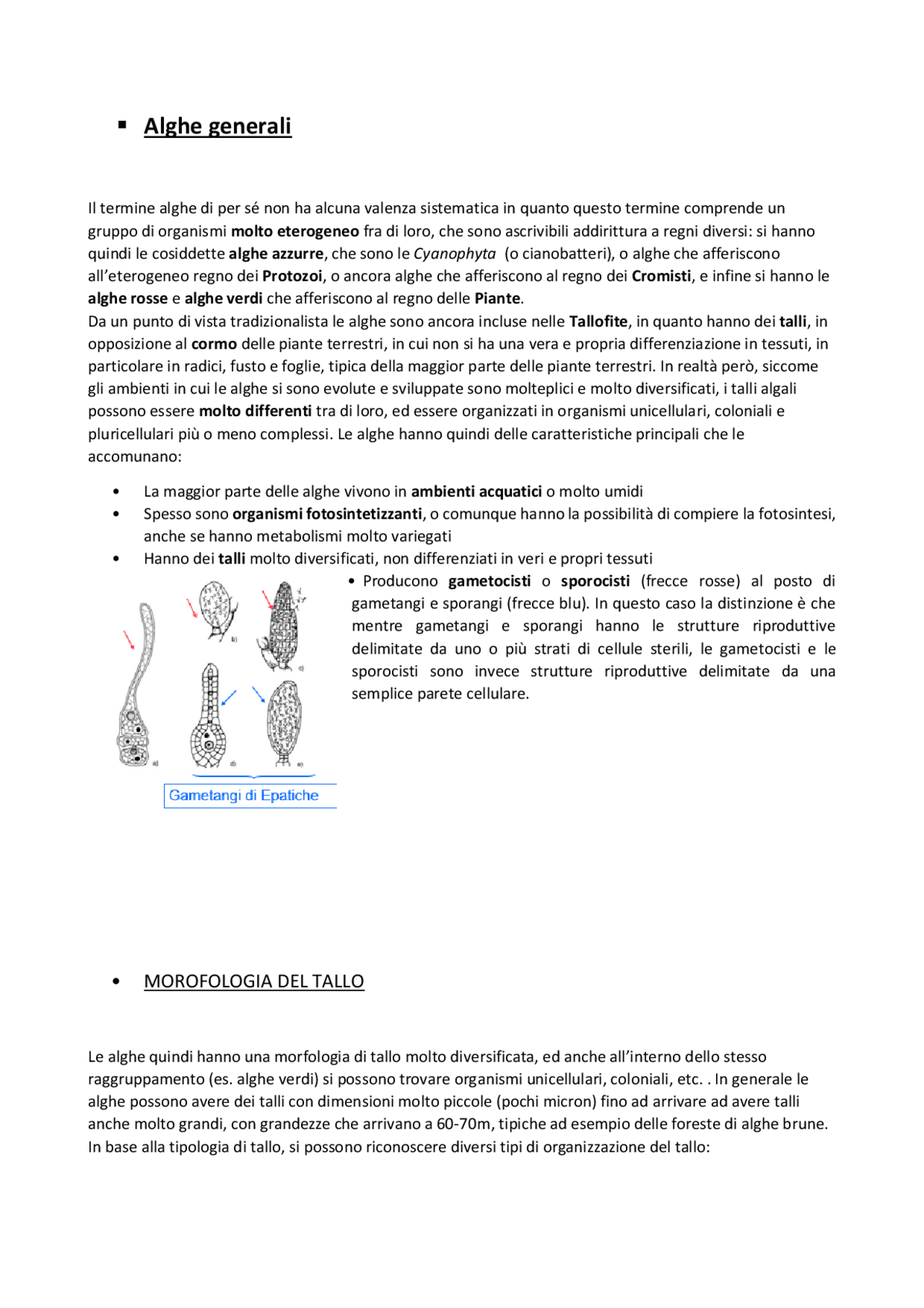 Appunti Su Alghe E Funghi Botanica Sistematica Docsity