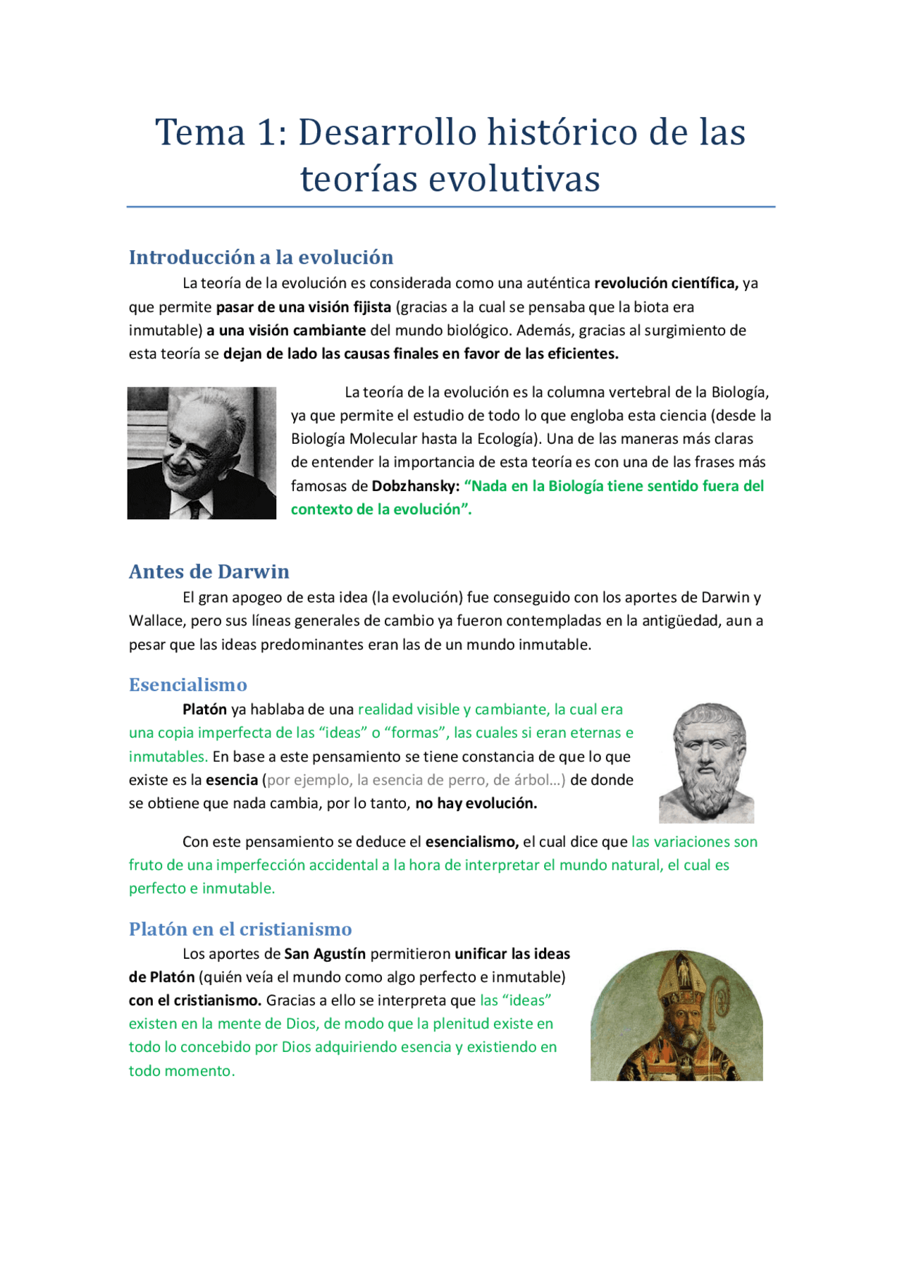 Apuntes Biologia Evolutiva Apuntes De Biología Evolutiva Docsity