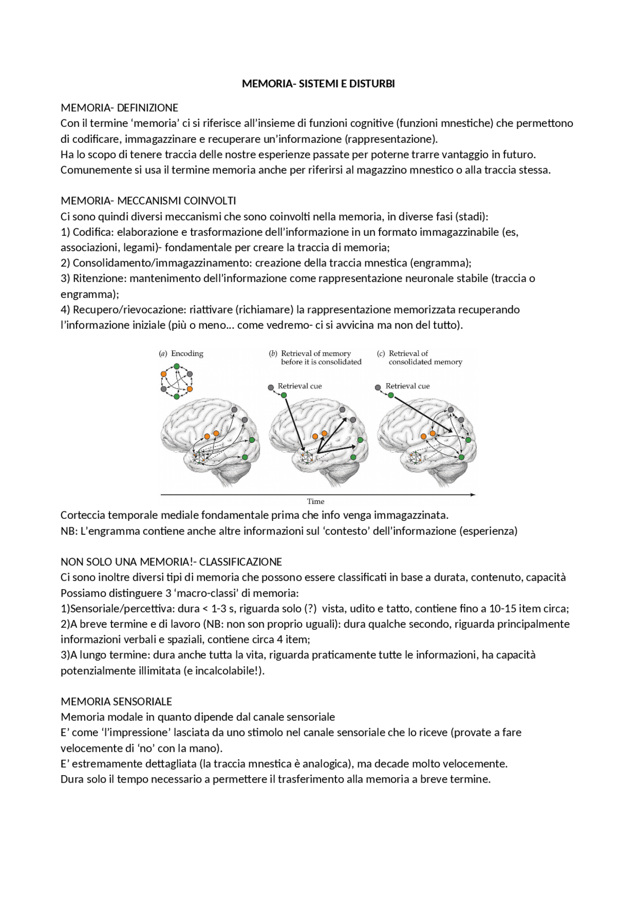 Memoria Slidesappunti Integrati Docsity
