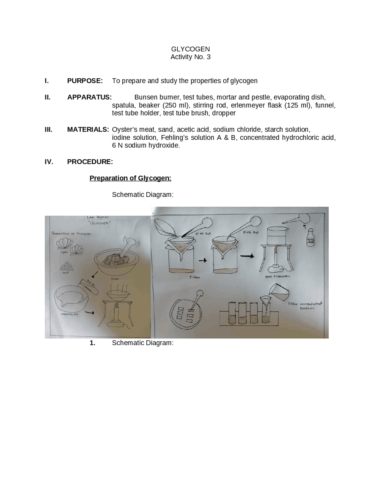 Glycogen CHEM LAB Report | Lab Reports Medical Biochemistry | Docsity