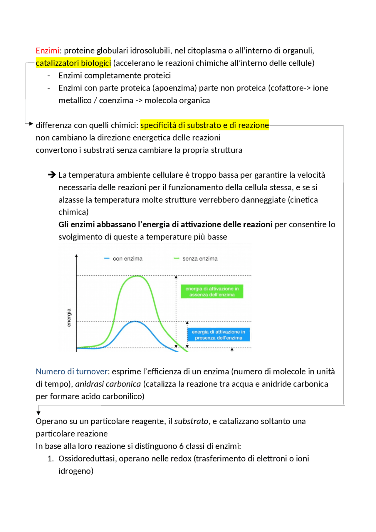 Enzimi E Proprie Funzioni Docsity
