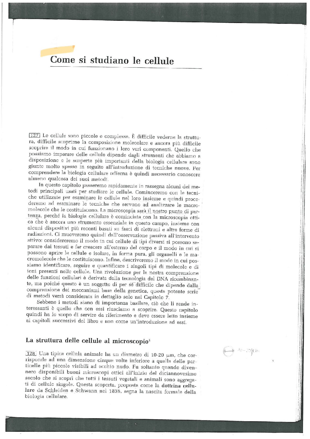 Biologia Tiozzo Alberts Docsity
