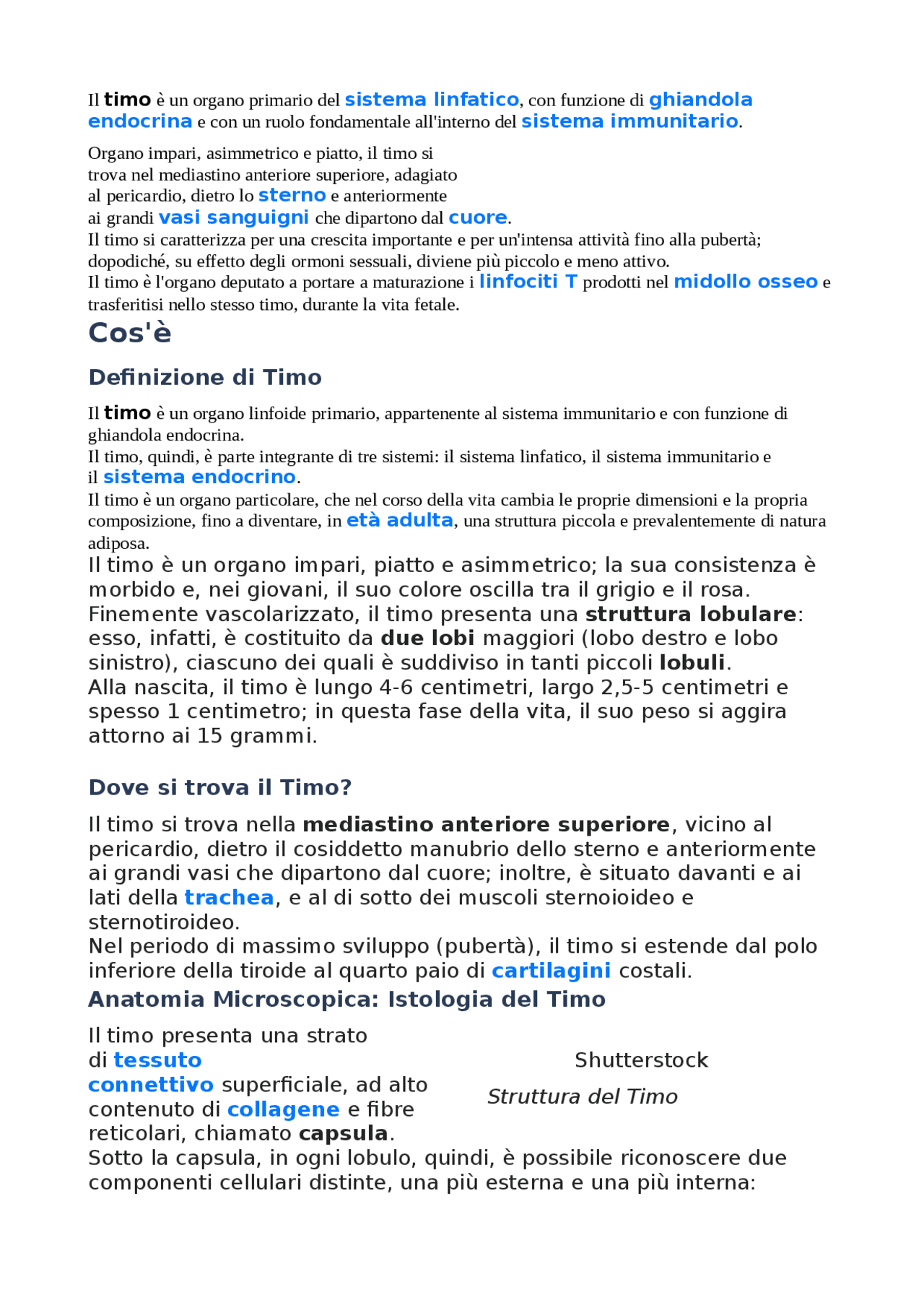 Appunti Di Anatomia Per L Esame Docsity