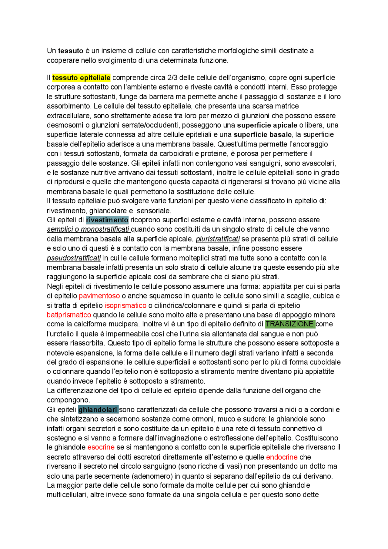 Il Tessuto Epiteliale Docsity