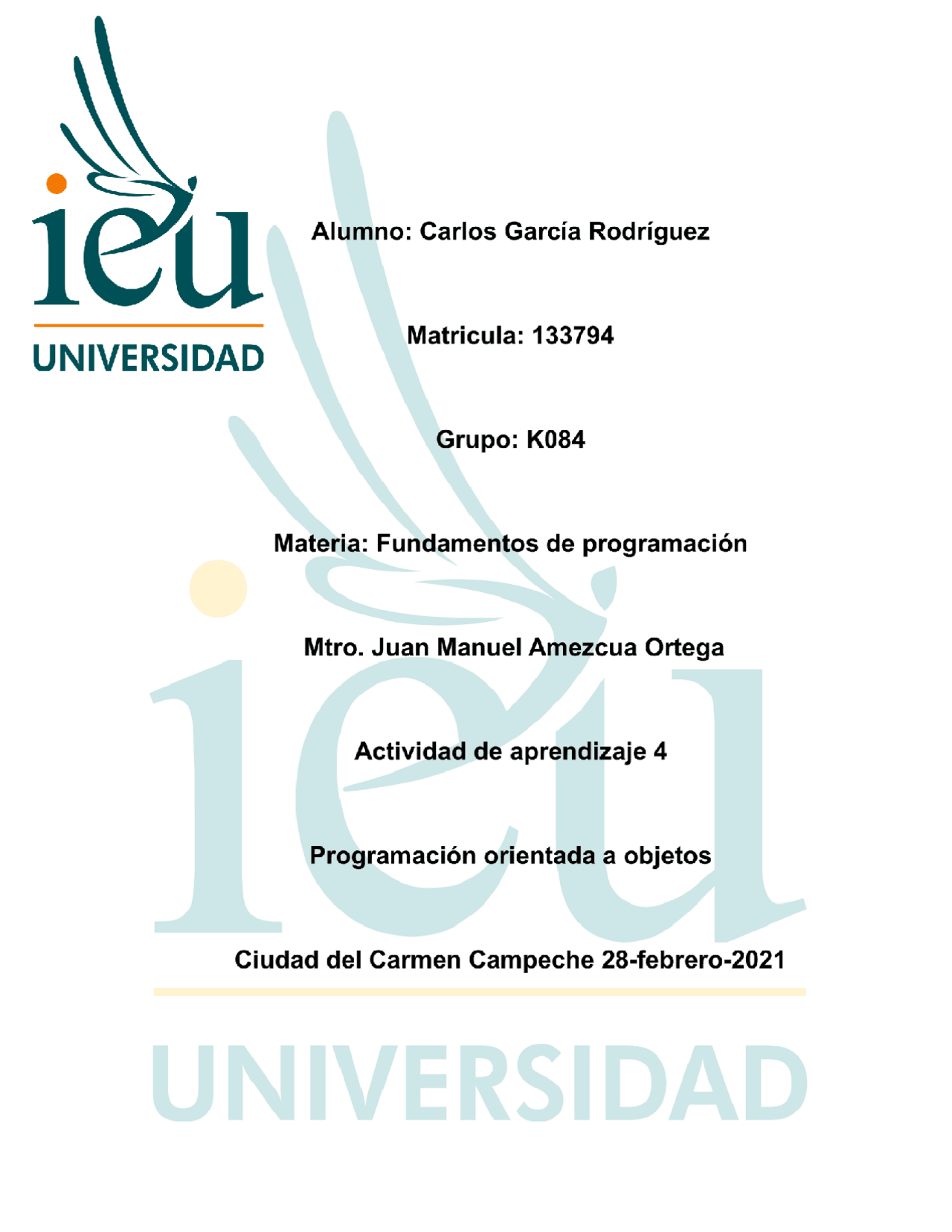 Programacion Orientada A Objetos Docsity