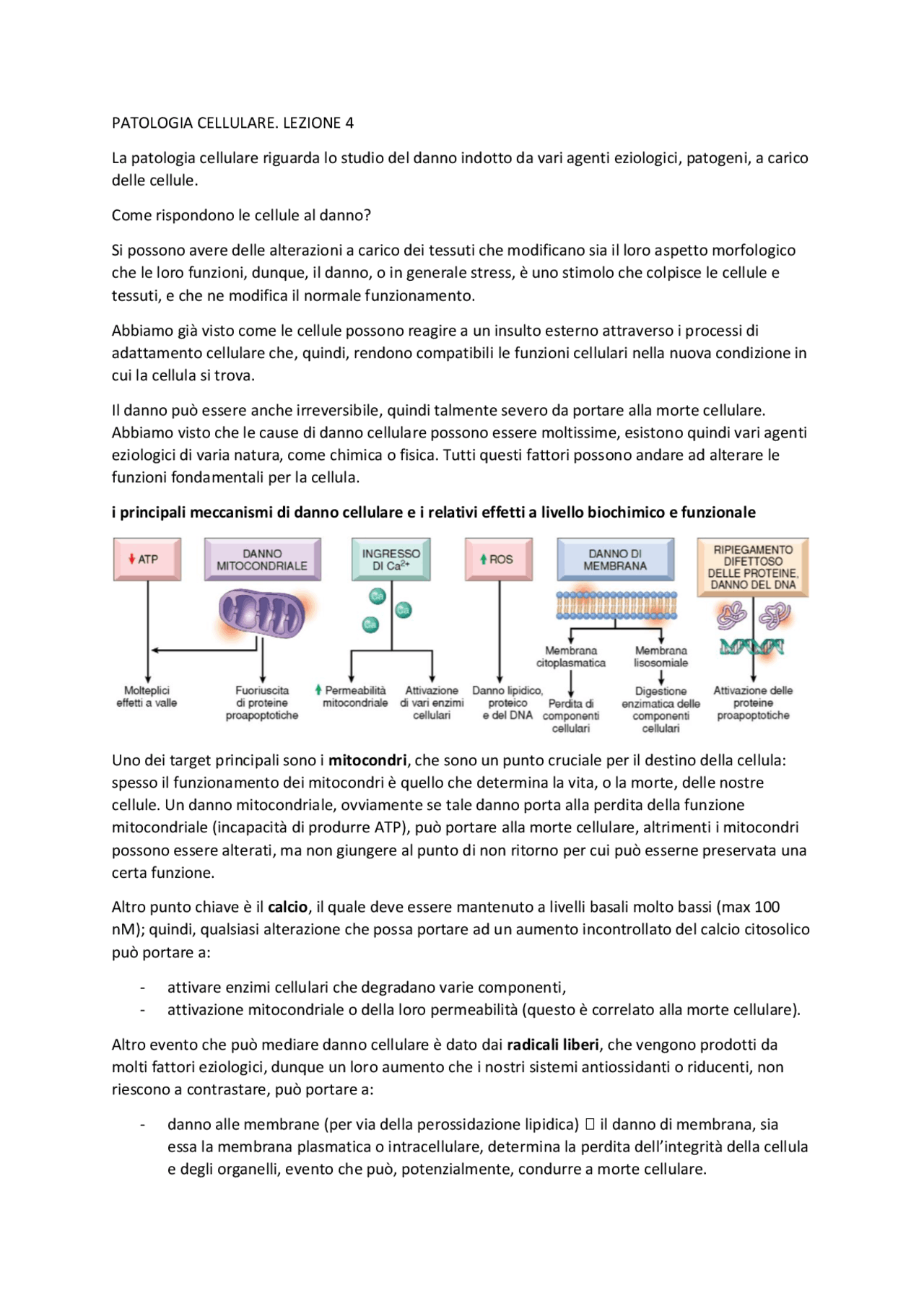 Appunti Di Patologia Generale Docsity